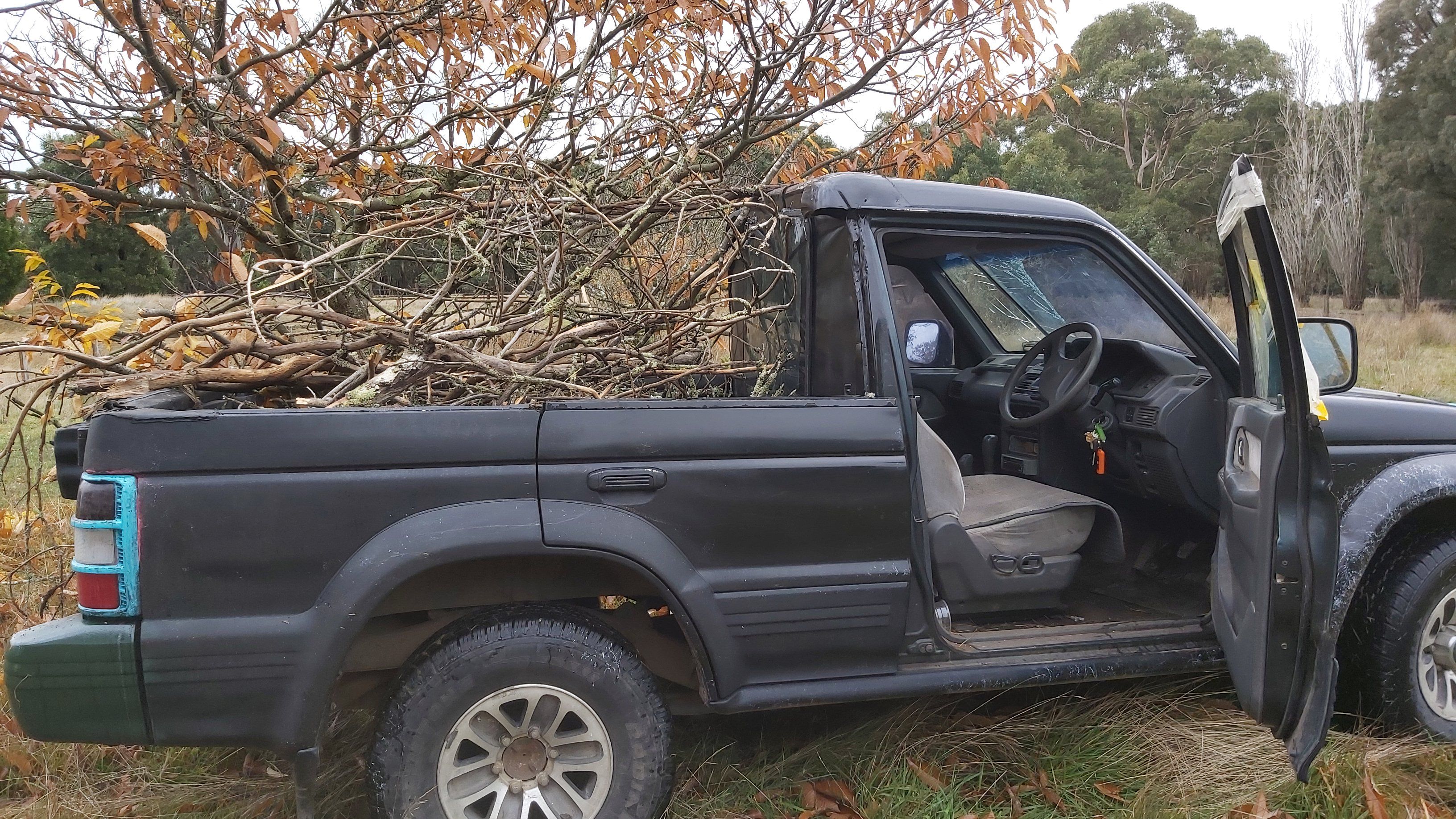 DIY ute from a Pajero | Bunnings Workshop community