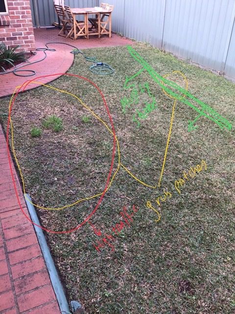 How to improve your lawn this Spring | Bunnings Workshop community