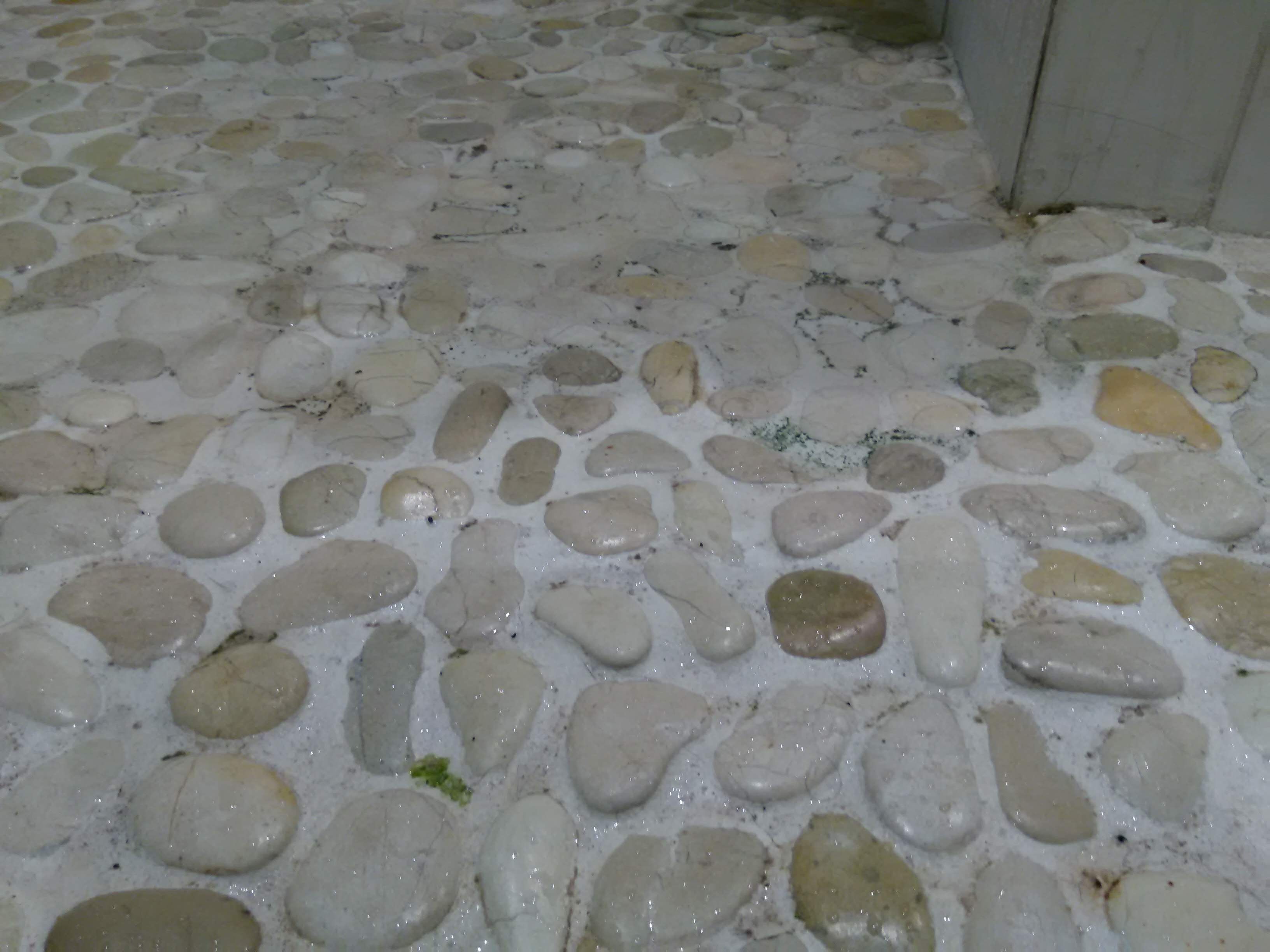 Re-surfacing pebblecrete | Bunnings Workshop community