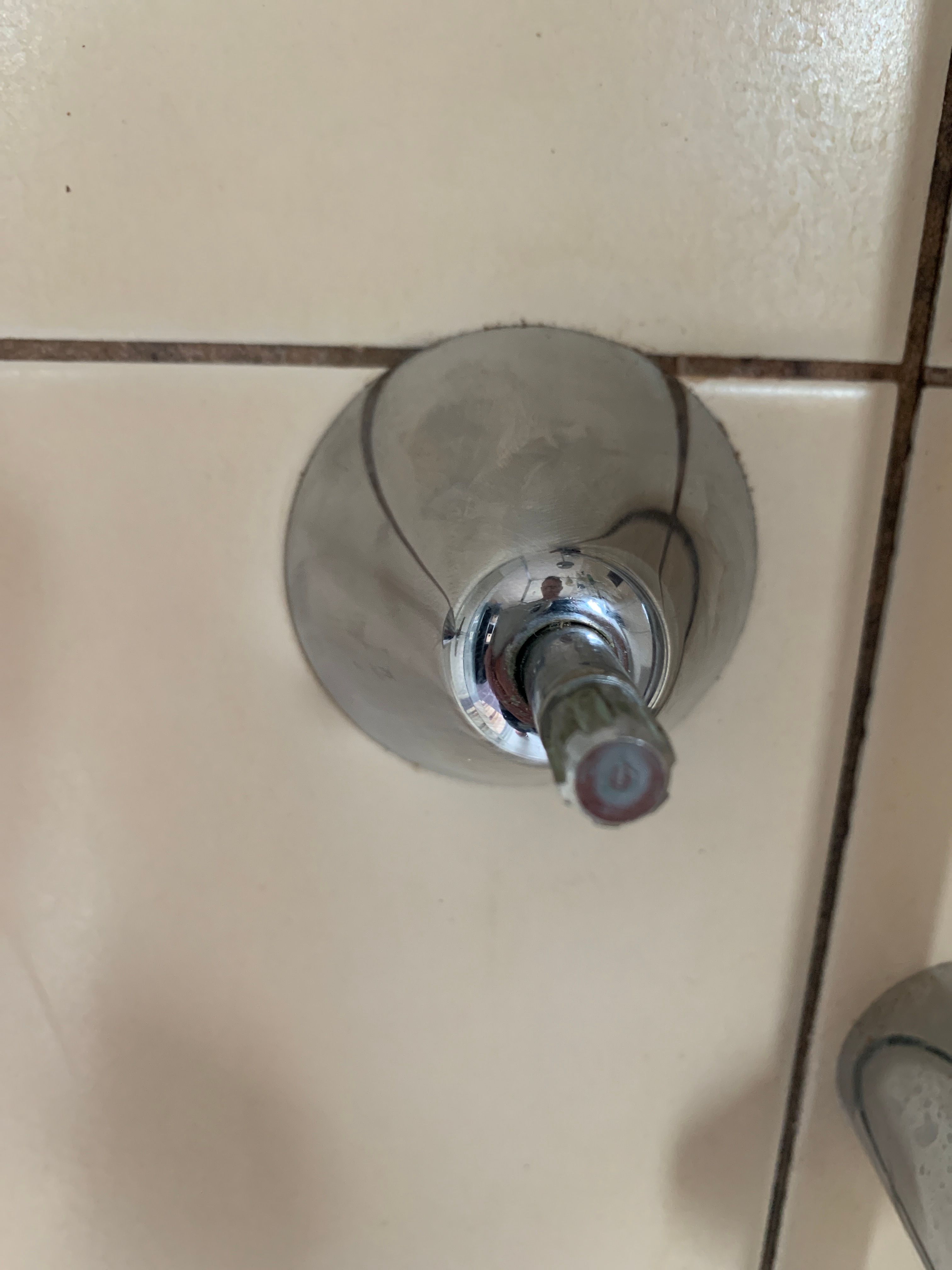 Tap Bonnet dramas | Bunnings Workshop community