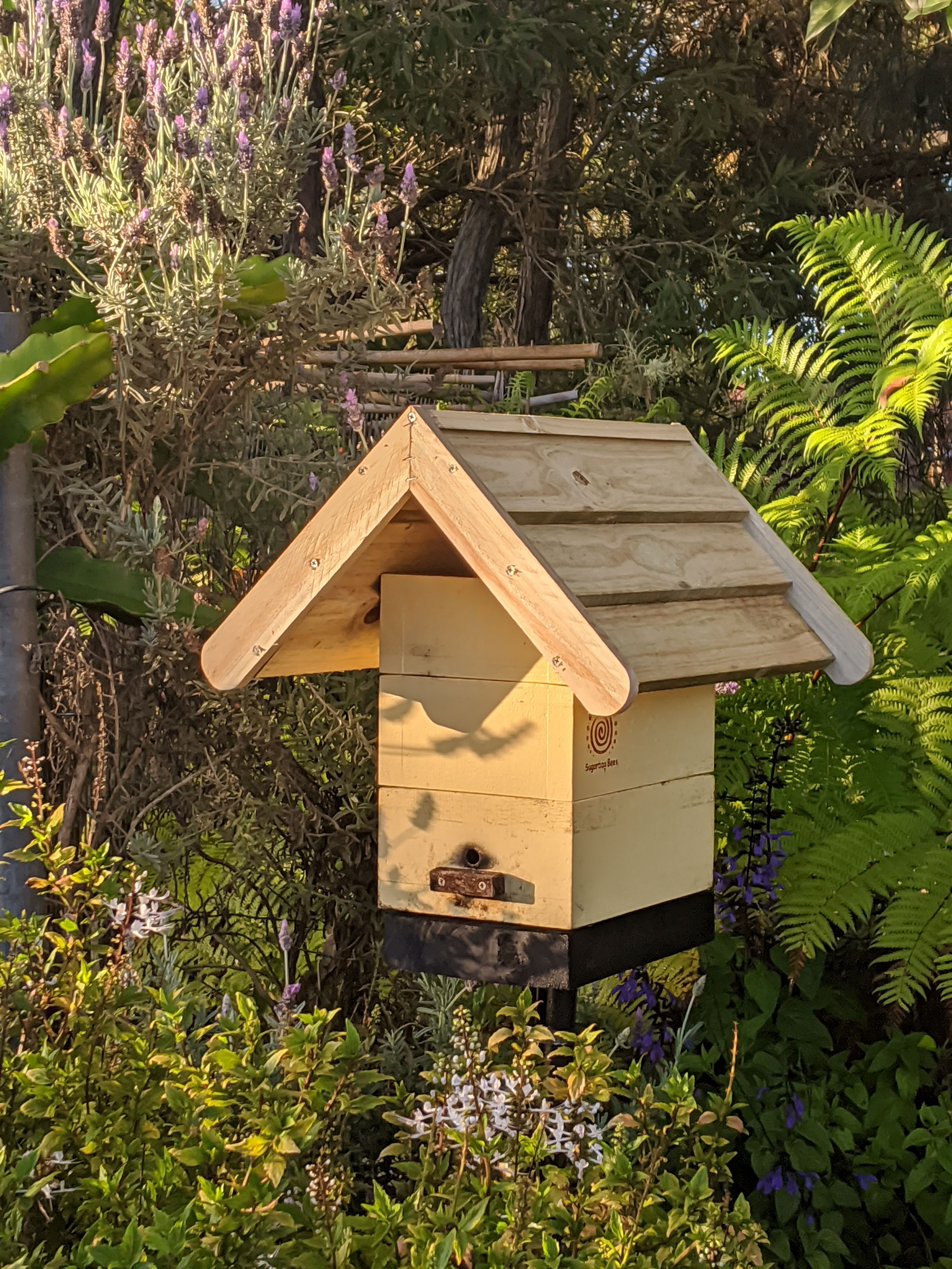 Roof for Native Bee Hive | Bunnings Workshop community