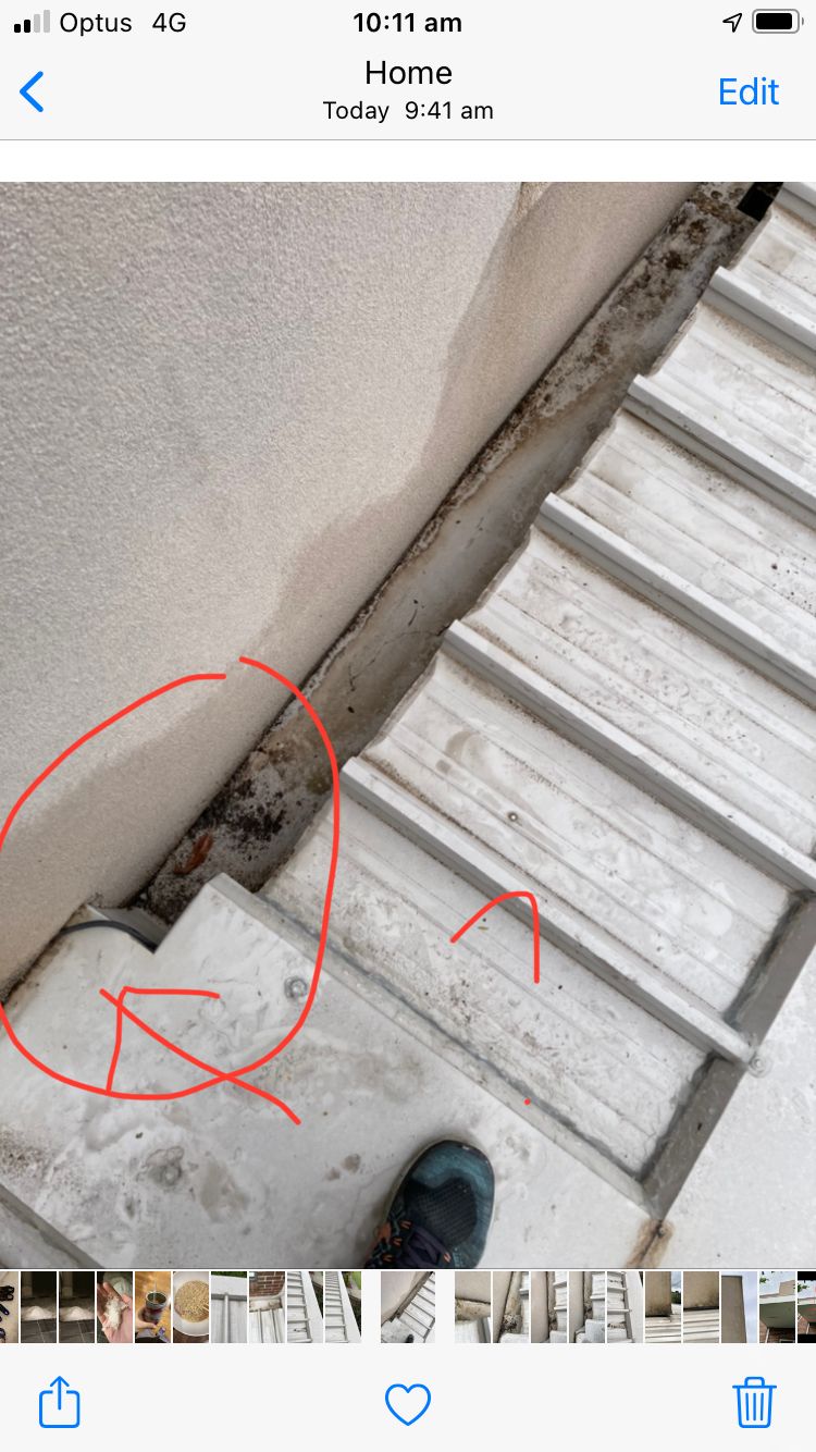 Solved: Damaged ceiling to fix | Bunnings Workshop community