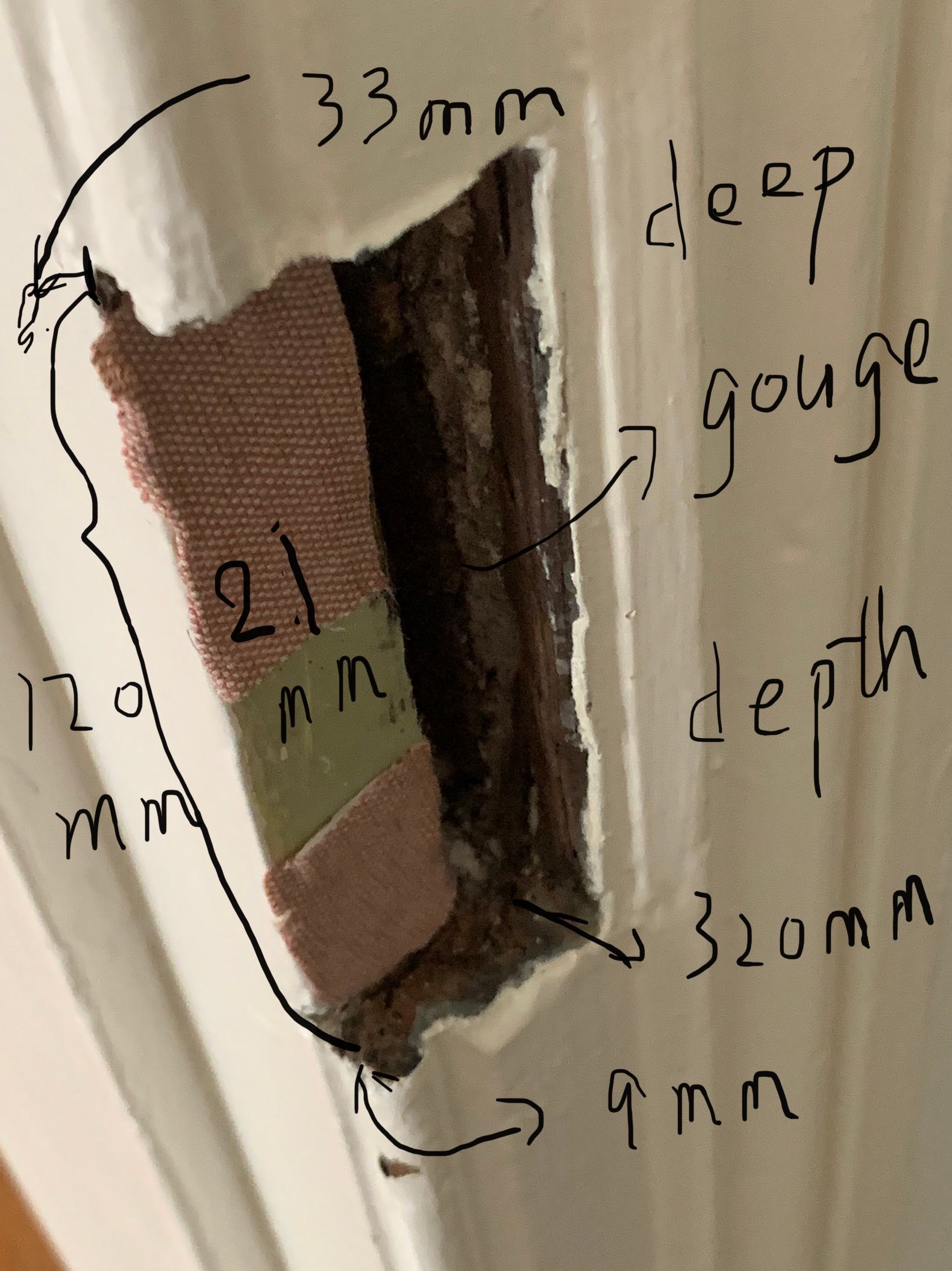 Solved: How to fill the holes and gouge in my do... - Page 8 | Bunnings ...