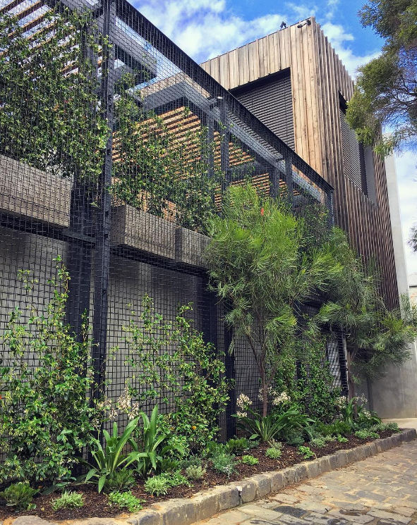 Love this mesh to help create a green wa... | Bunnings Workshop community