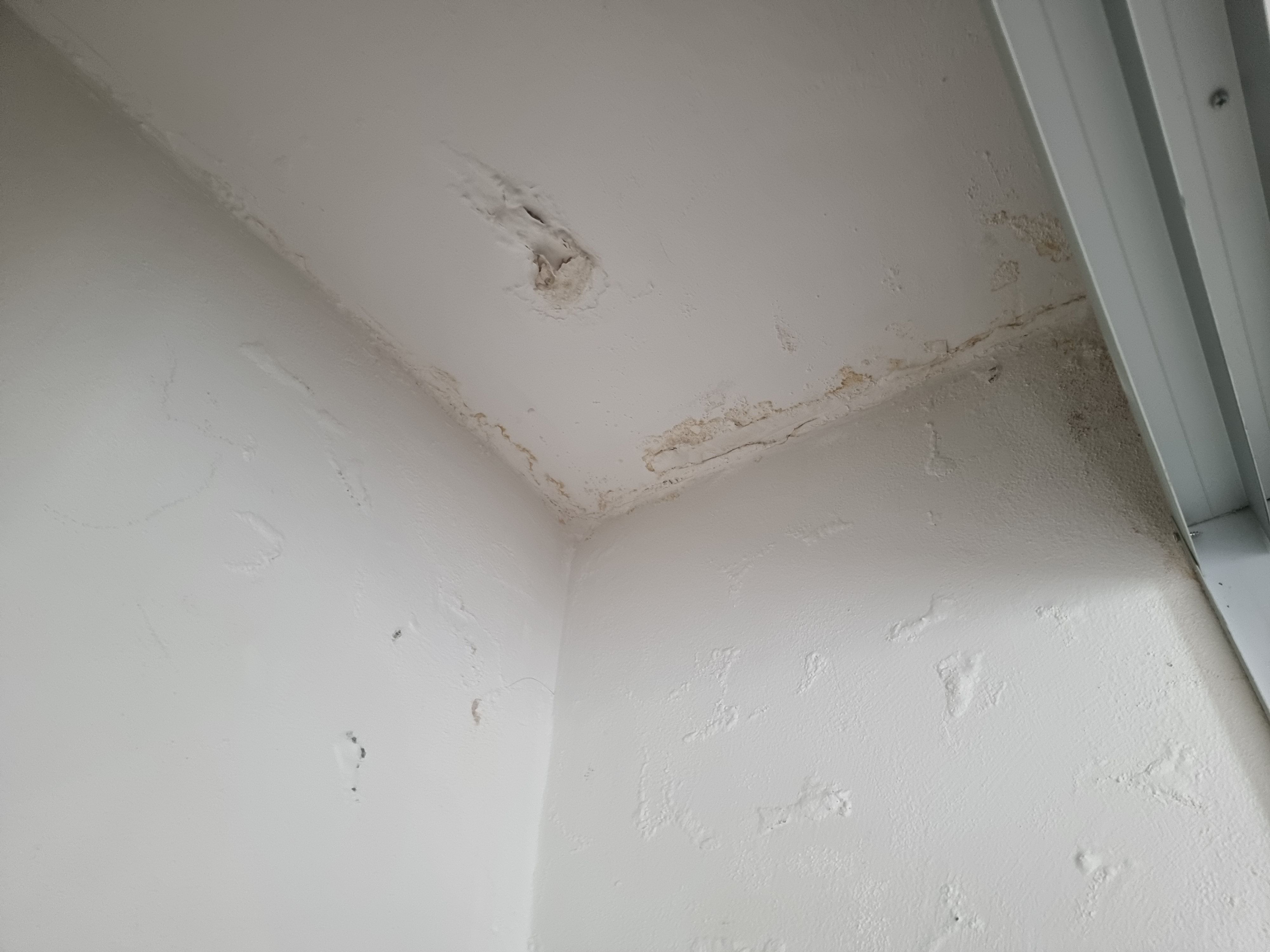 How do we fix this water damaged wall th... | Bunnings Workshop community