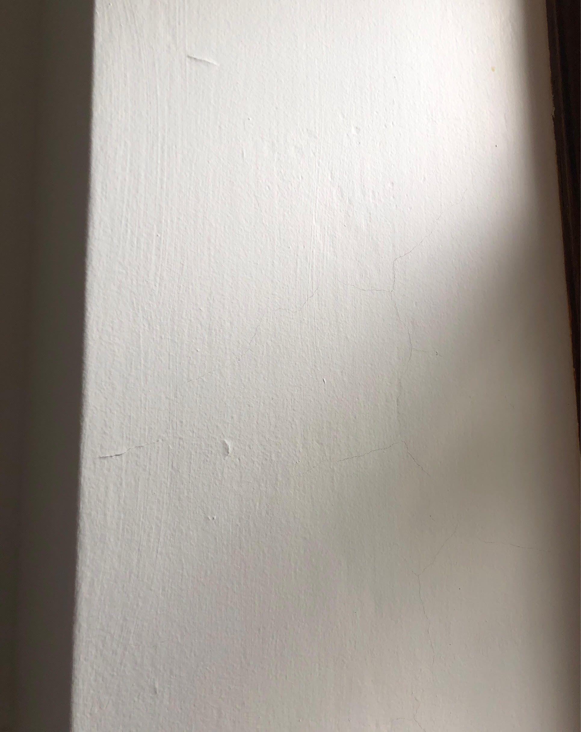 Render wall? How to fix it? | Bunnings Workshop community