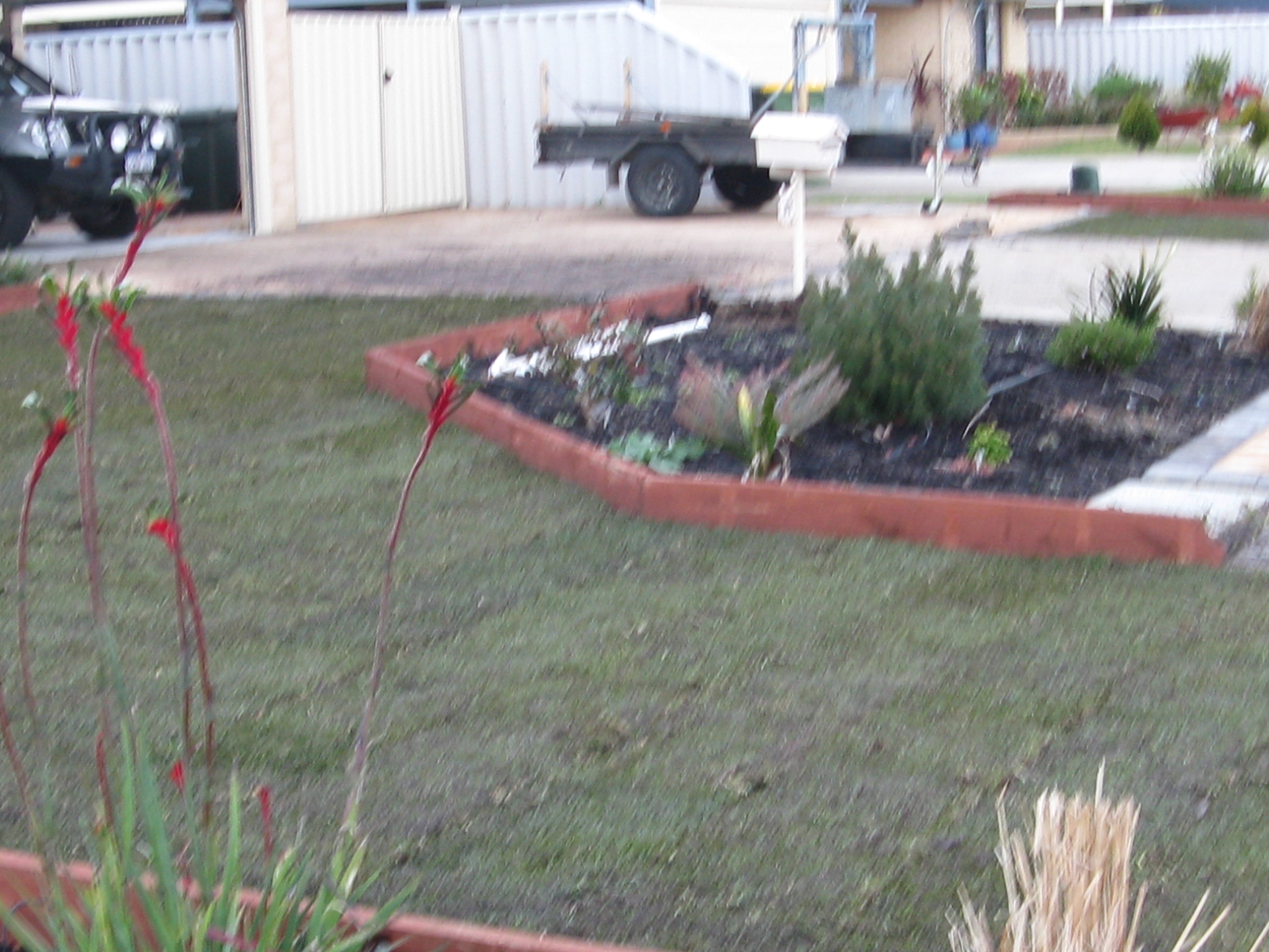 Front yard makeover | Bunnings Workshop community