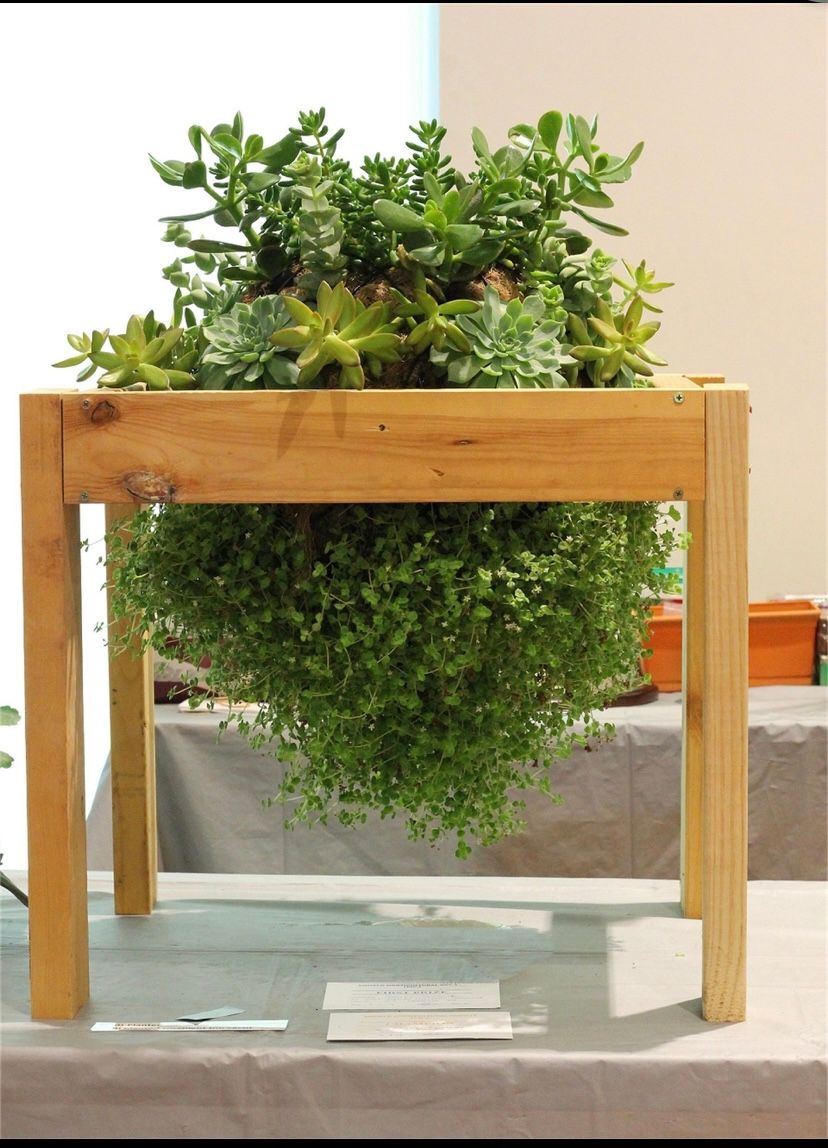 Succulent stand using pallet timber | Bunnings Workshop community