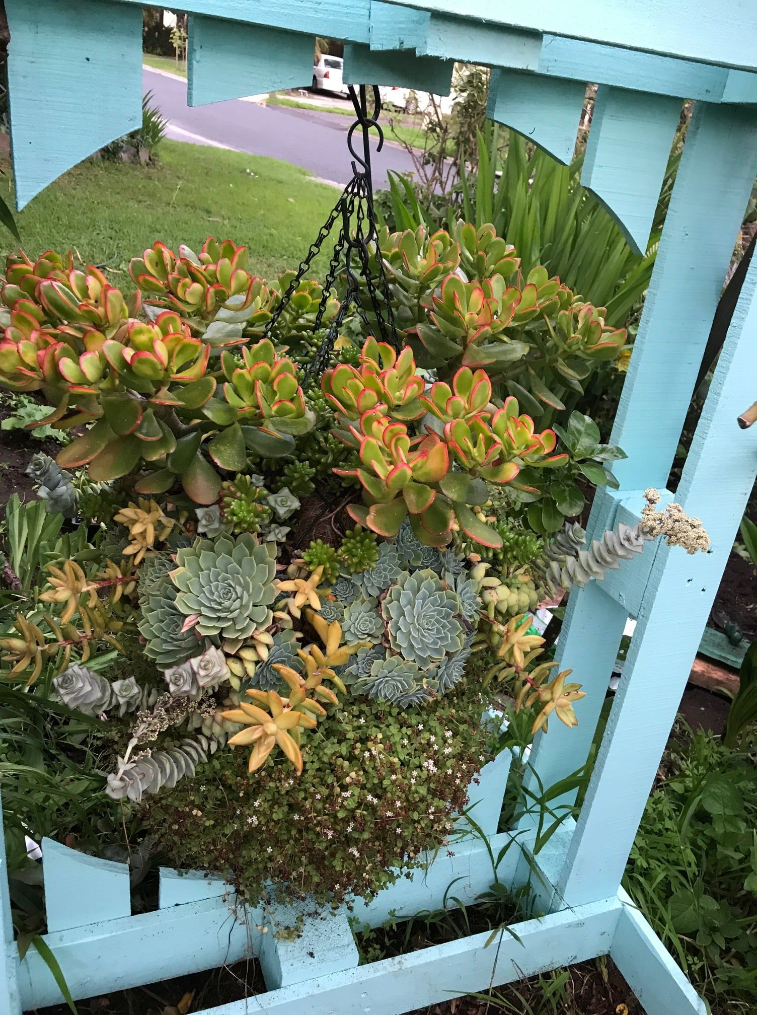 Succulent stand using pallet timber | Bunnings Workshop community