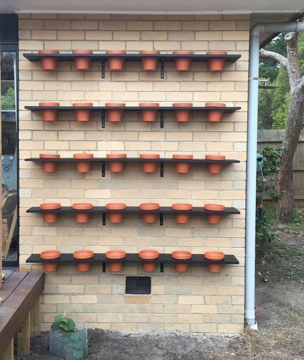 Terracotta pot vertical garden screening | Bunnings Workshop community