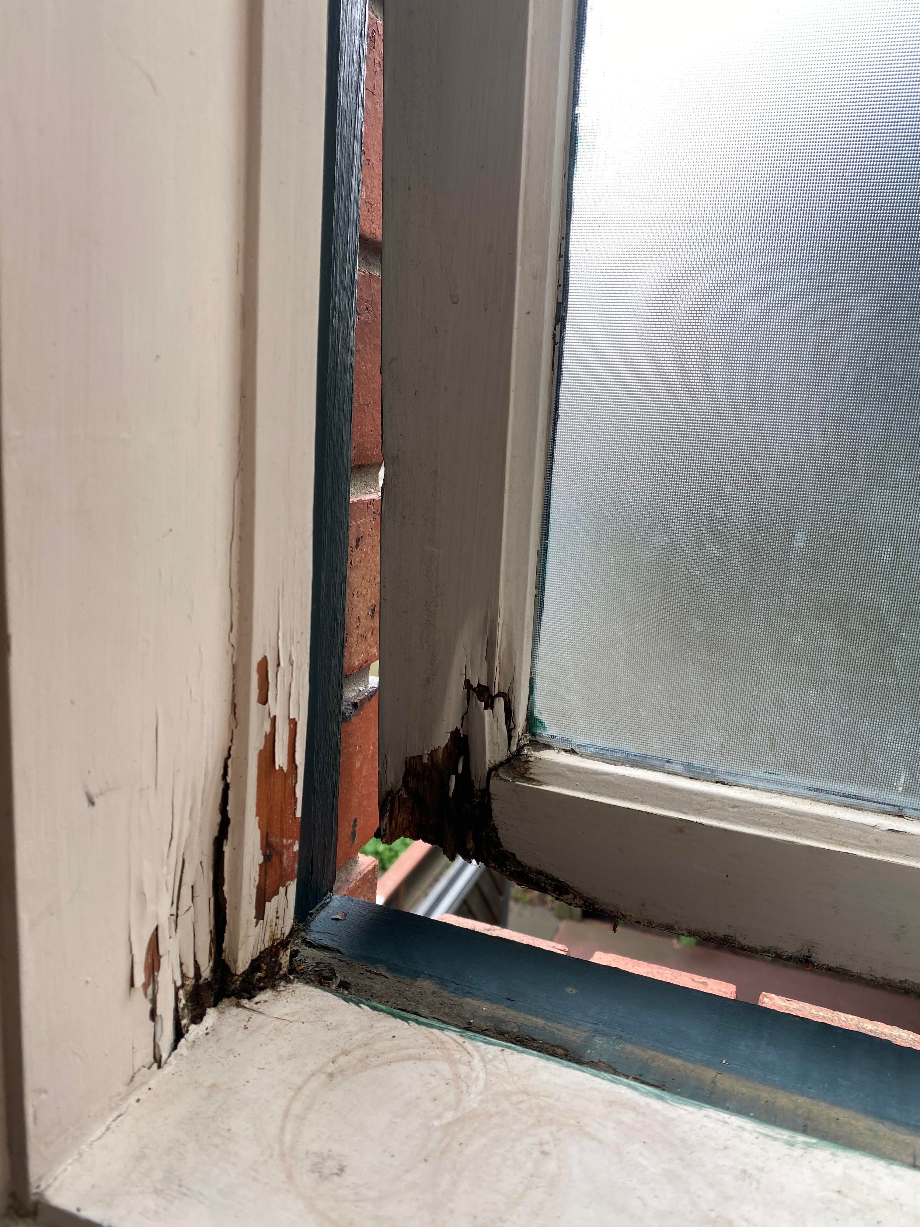 How to do a temporary fix on a rotted wi... | Bunnings Workshop community