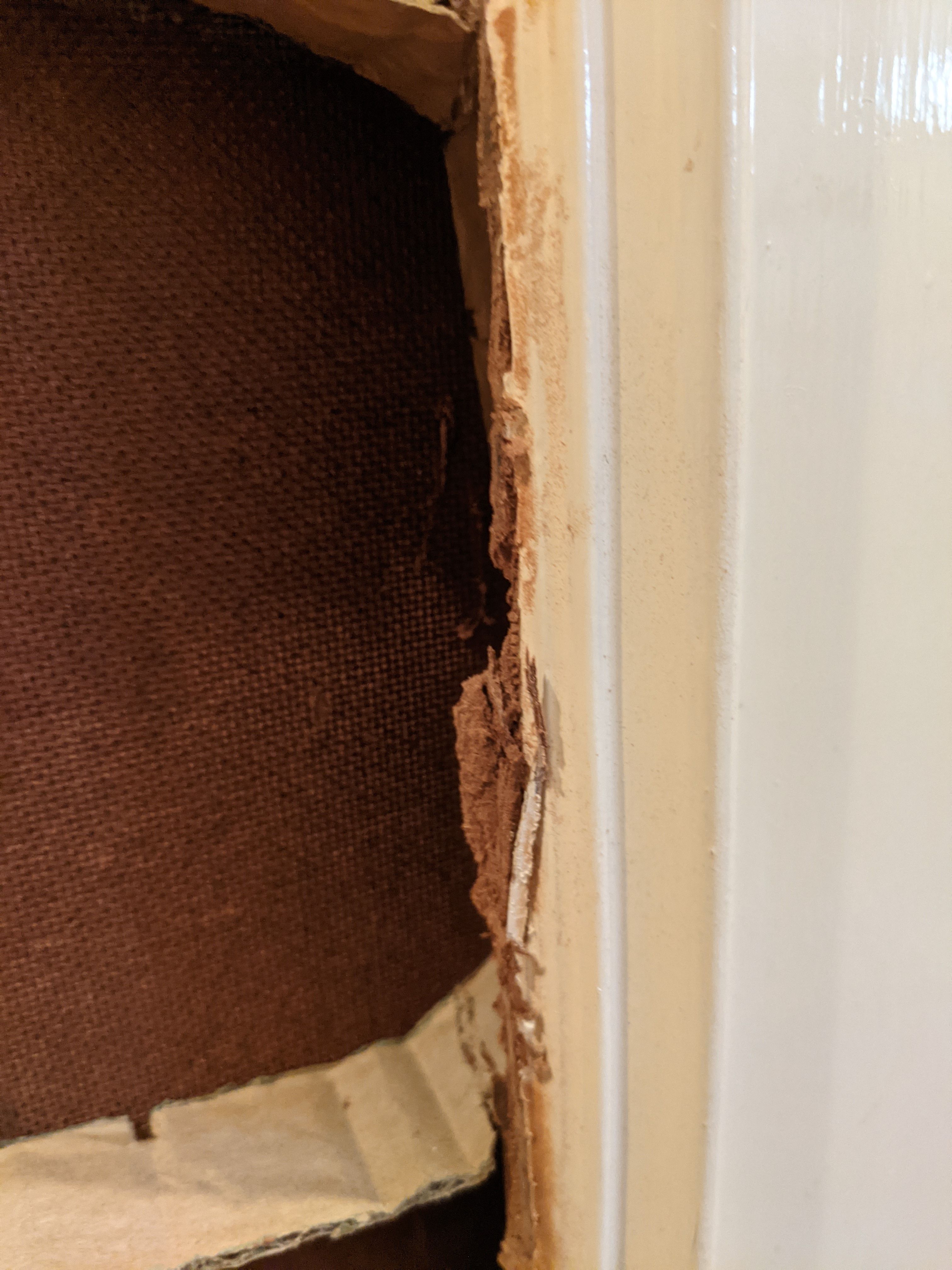 Solved: Re: how to fill the holes and gouge - Page 10 | Bunnings ...