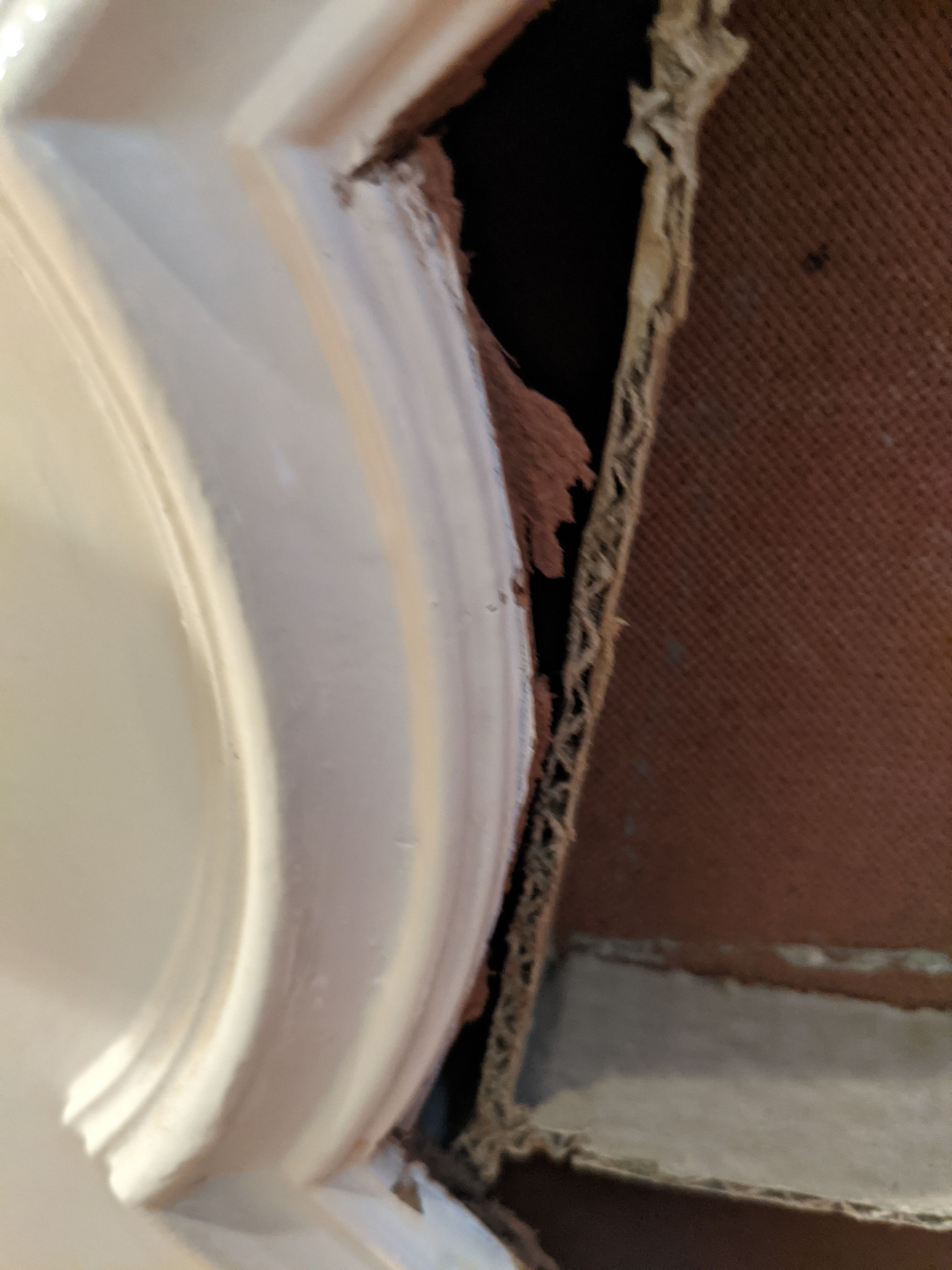 Solved: Re: how to fill the holes and gouge - Page 10 | Bunnings ...