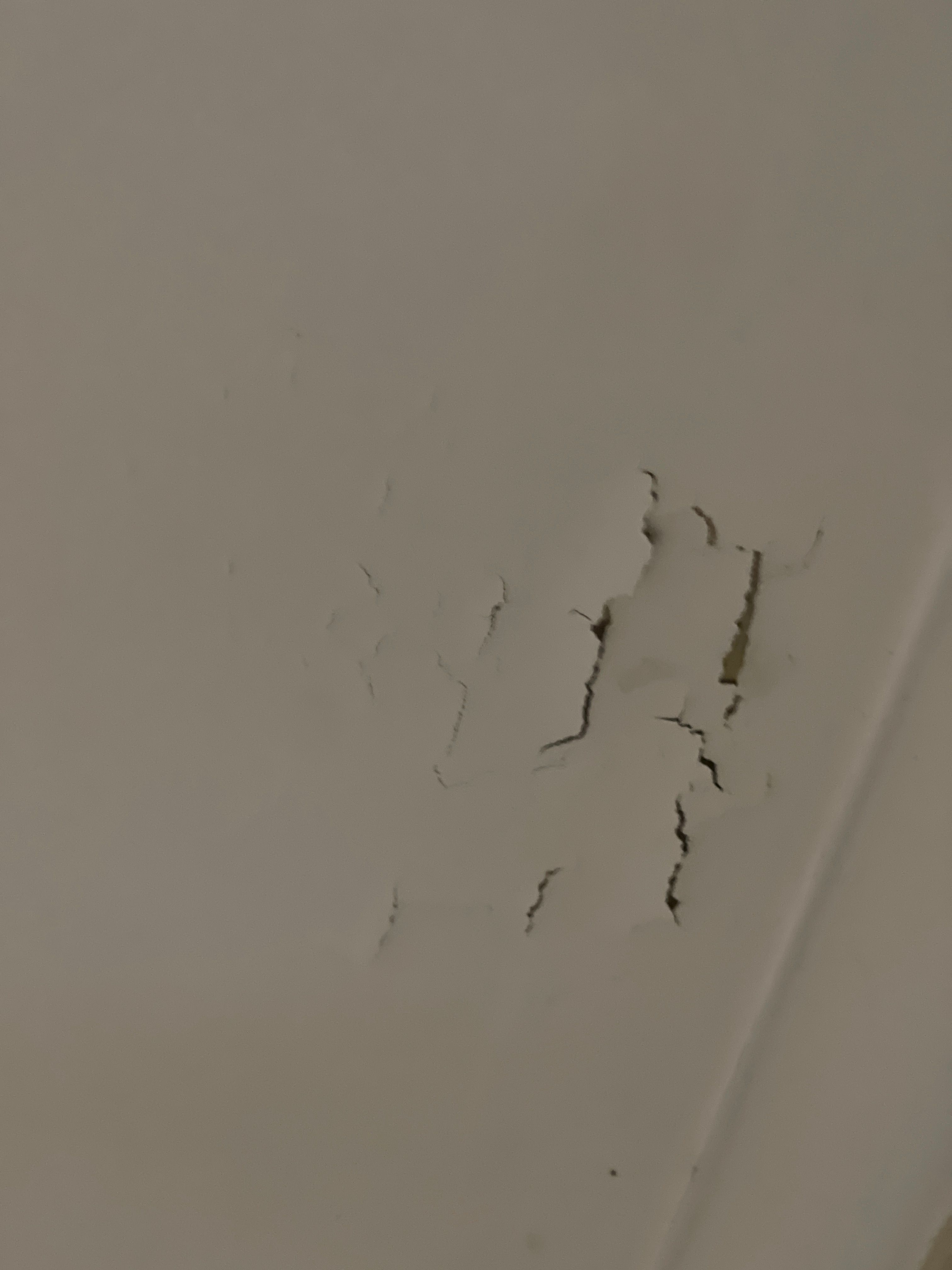 How to fix paint peeling on ceiling? | Bunnings Workshop community