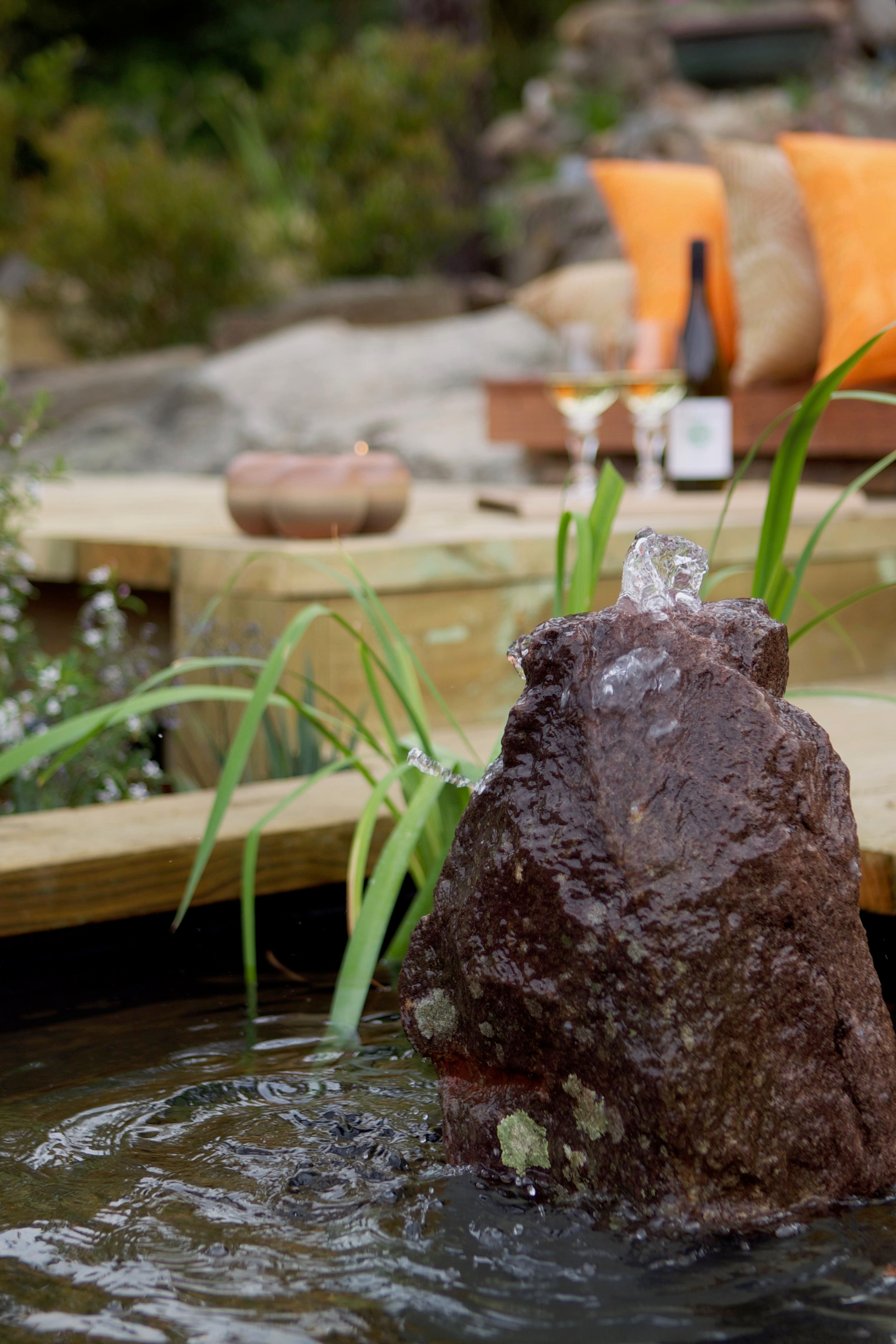 How to create a pond in a pot | Bunnings Workshop community