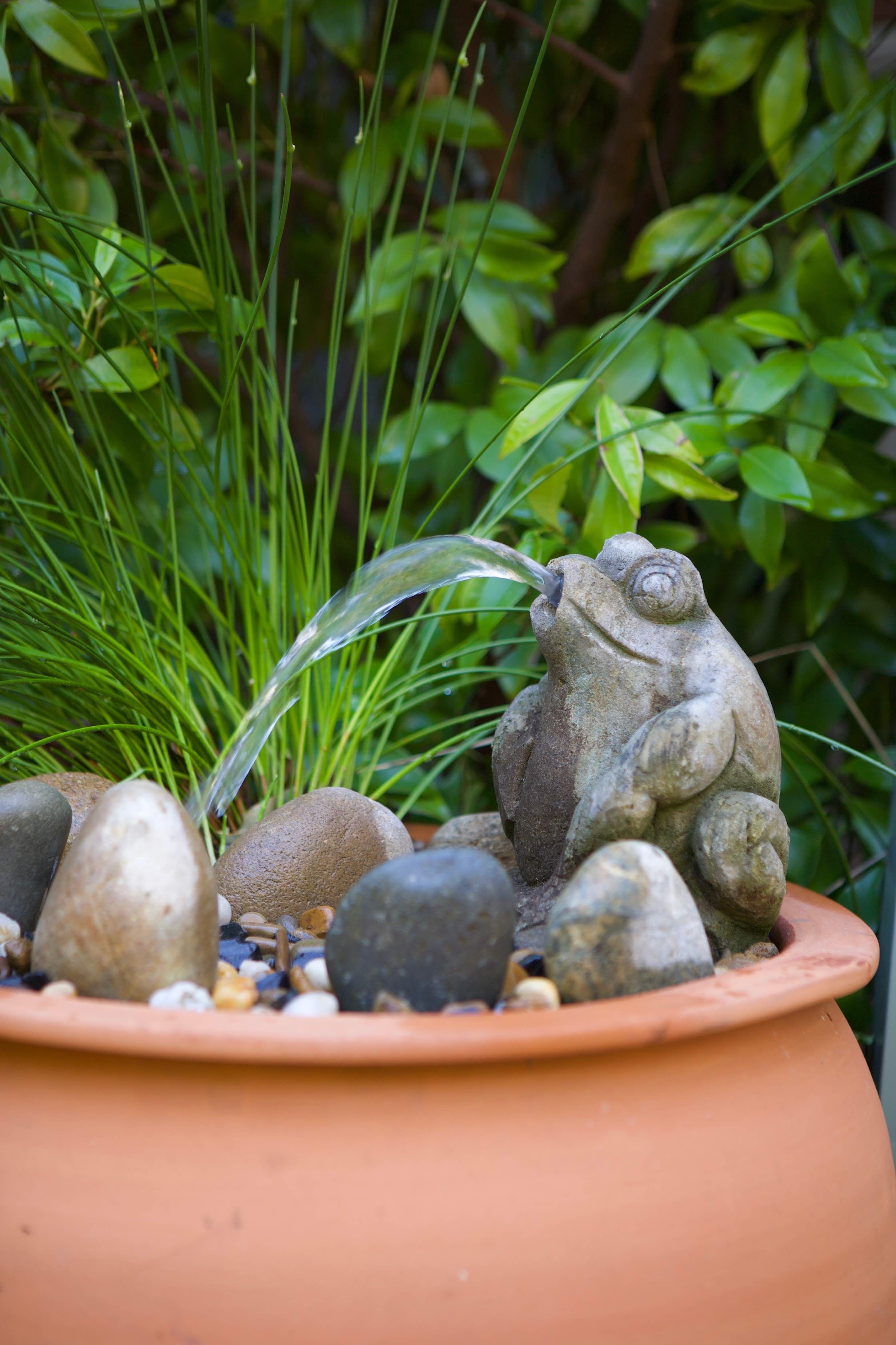 How to create a pond in a pot | Bunnings Workshop community