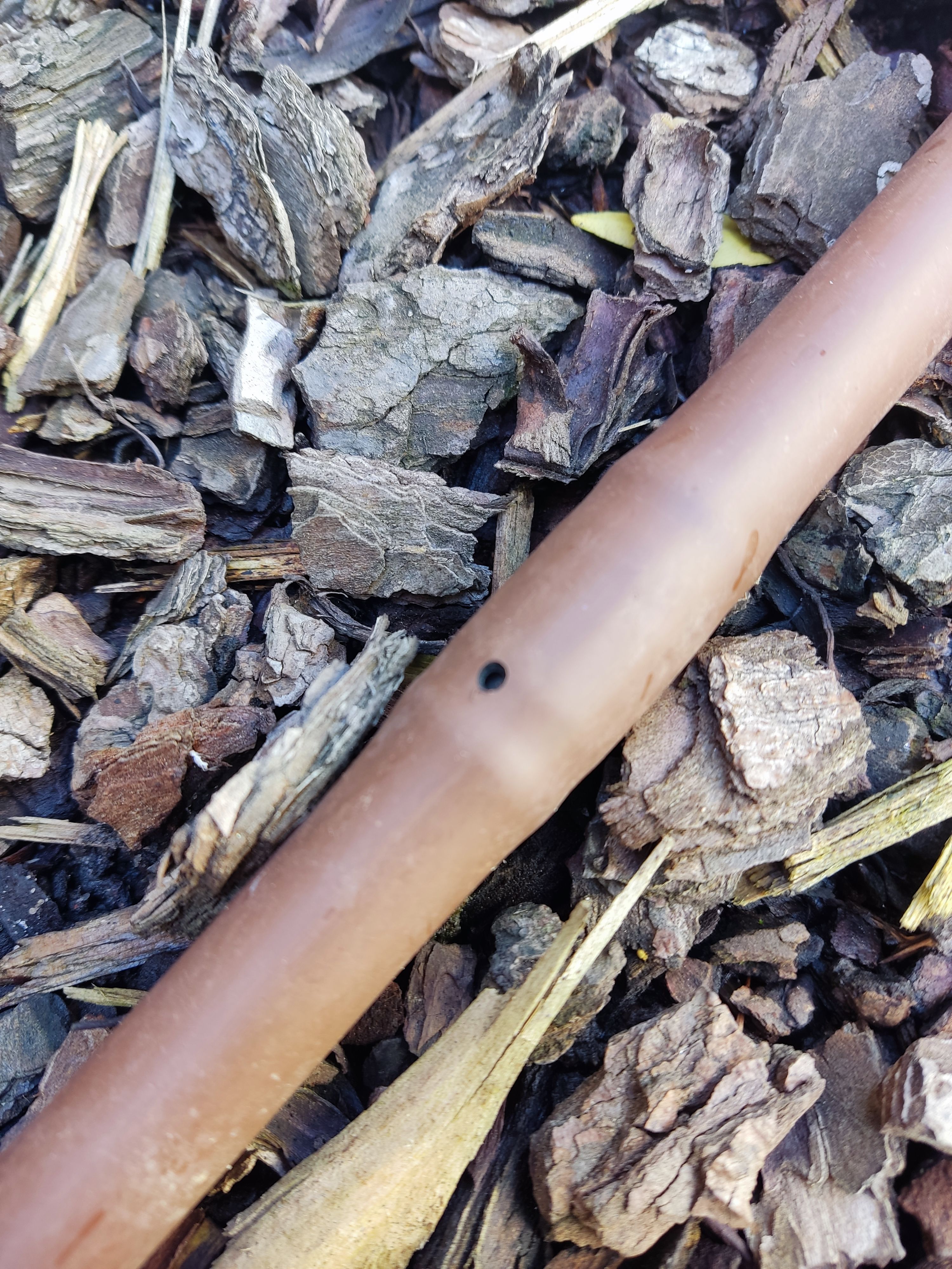 How add a sprinkler to an existing irrig... | Bunnings Workshop community