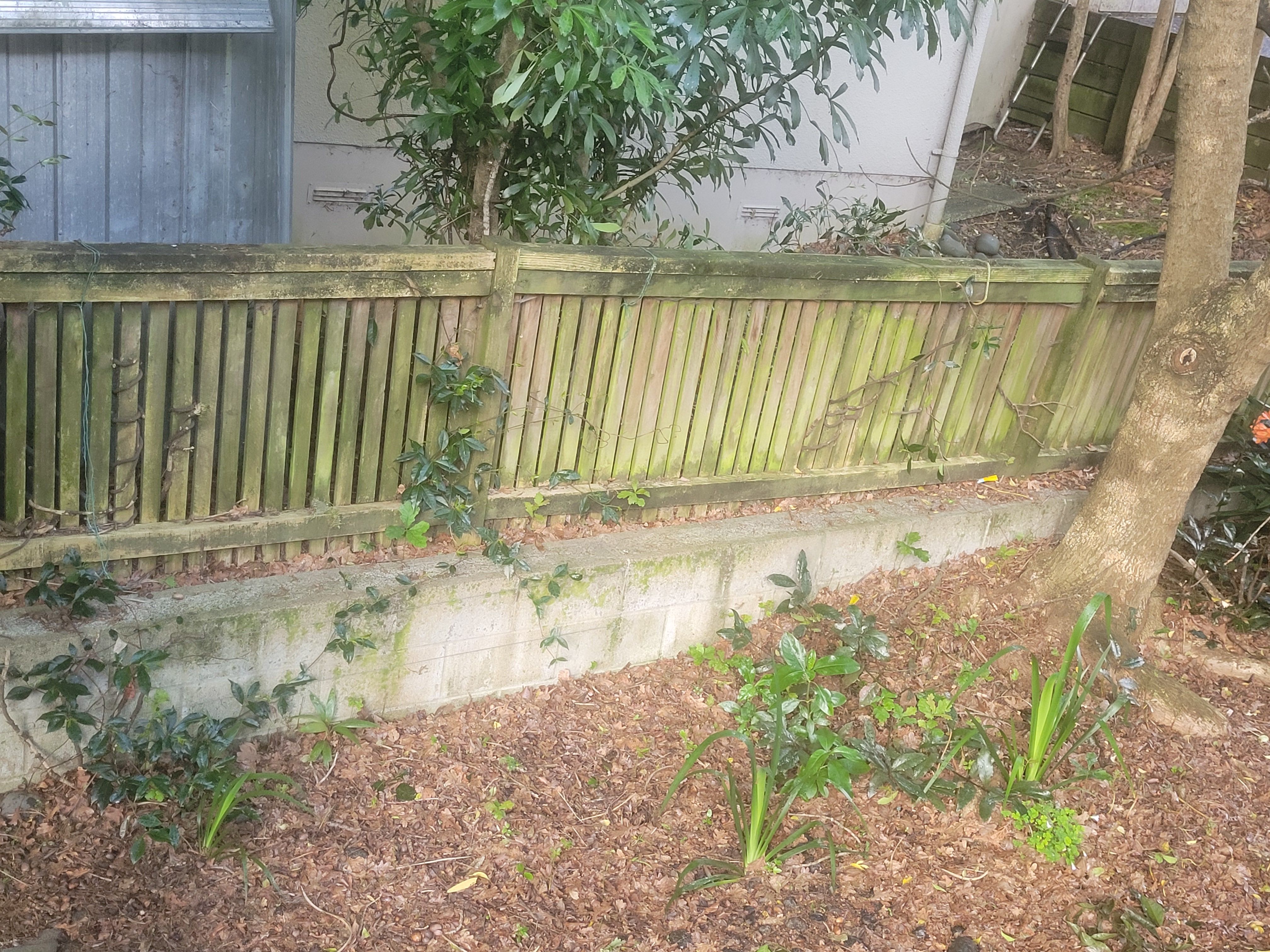 How to makeover sloping side yard? | Bunnings Workshop community