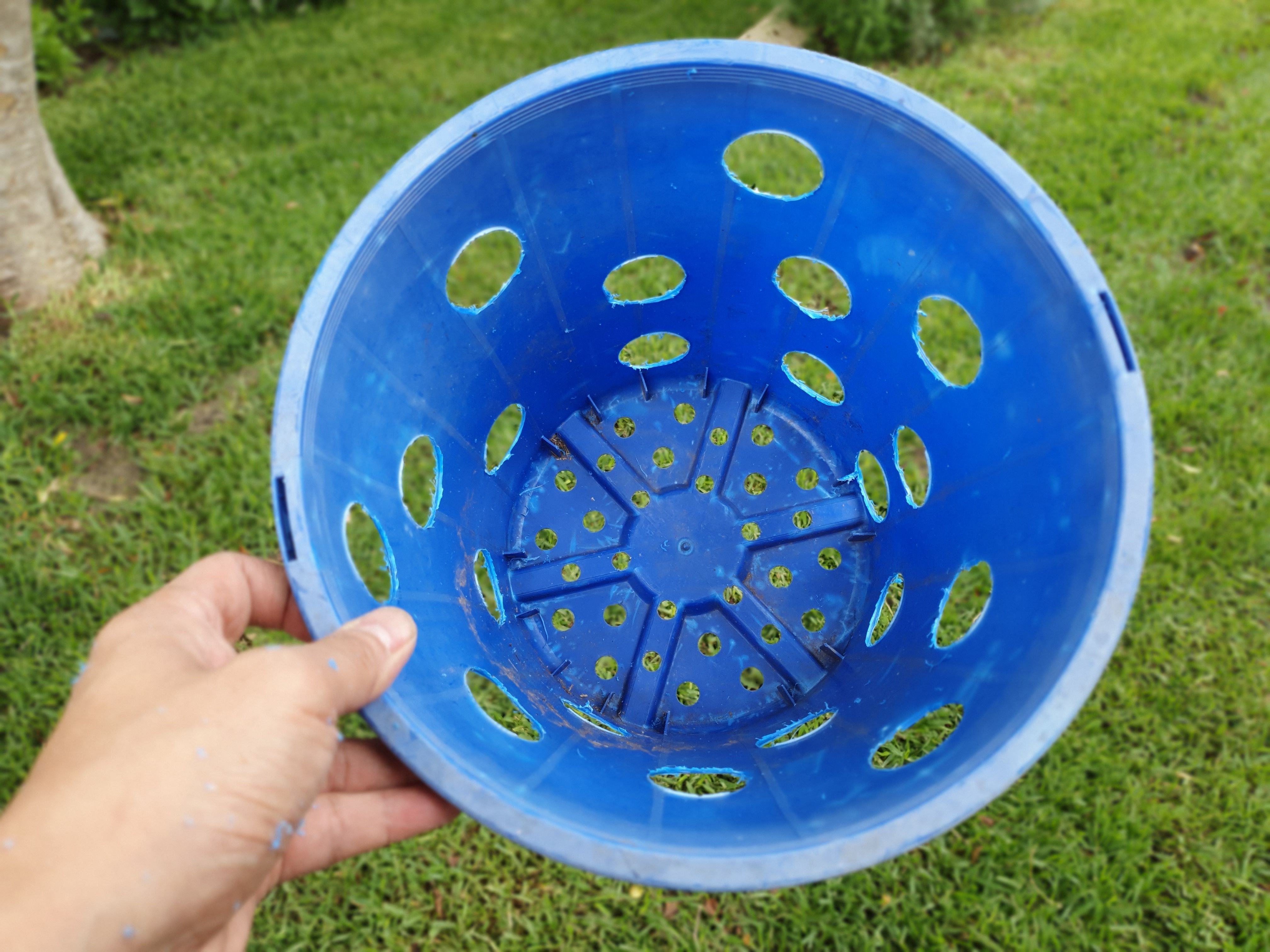 Dividing in-ground worm farms | Bunnings Workshop community