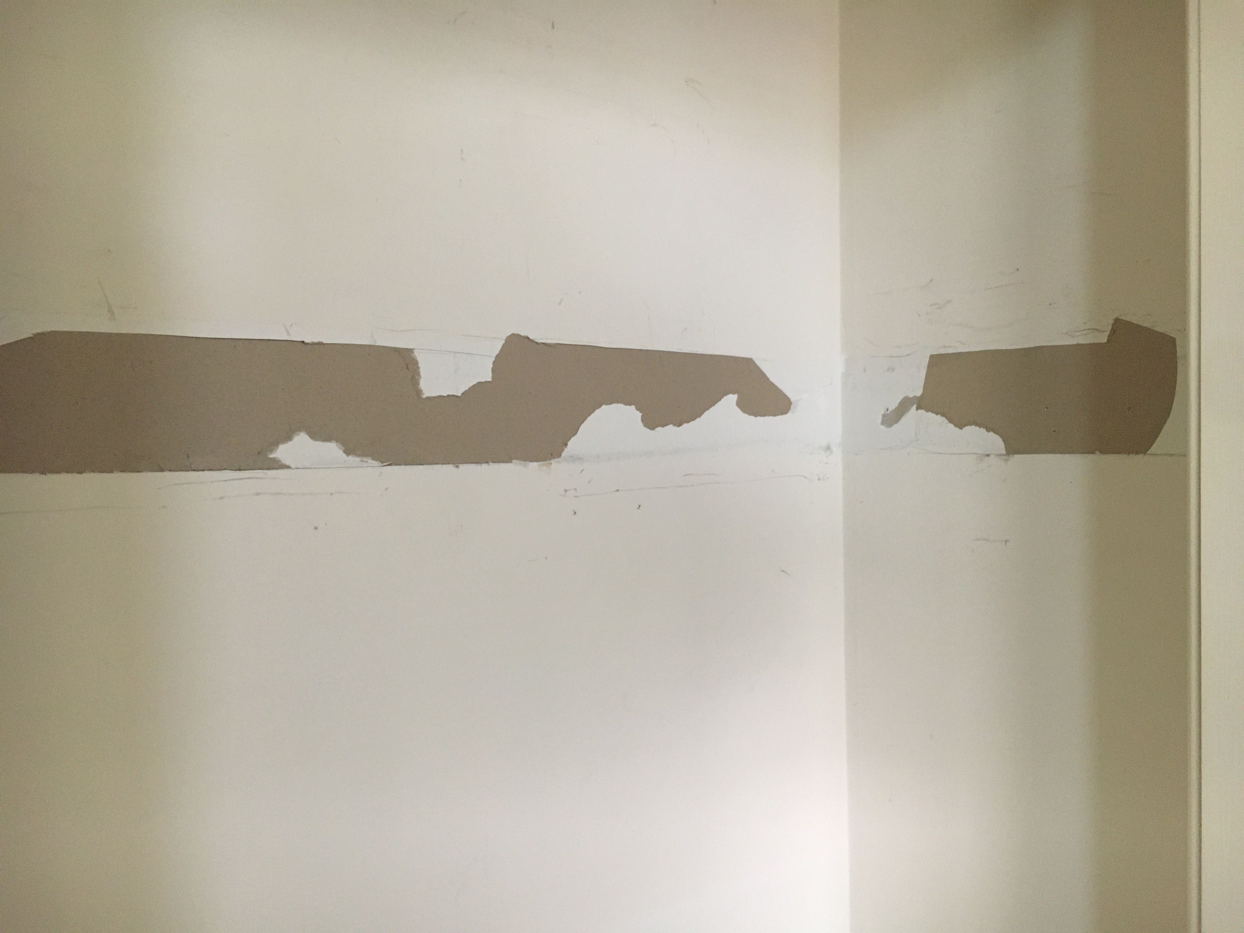 How to repair damaged plaster caused by ... | Bunnings Workshop community