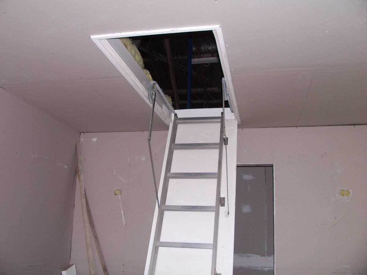 Scratching in the walls/ceilings | Bunnings Workshop community