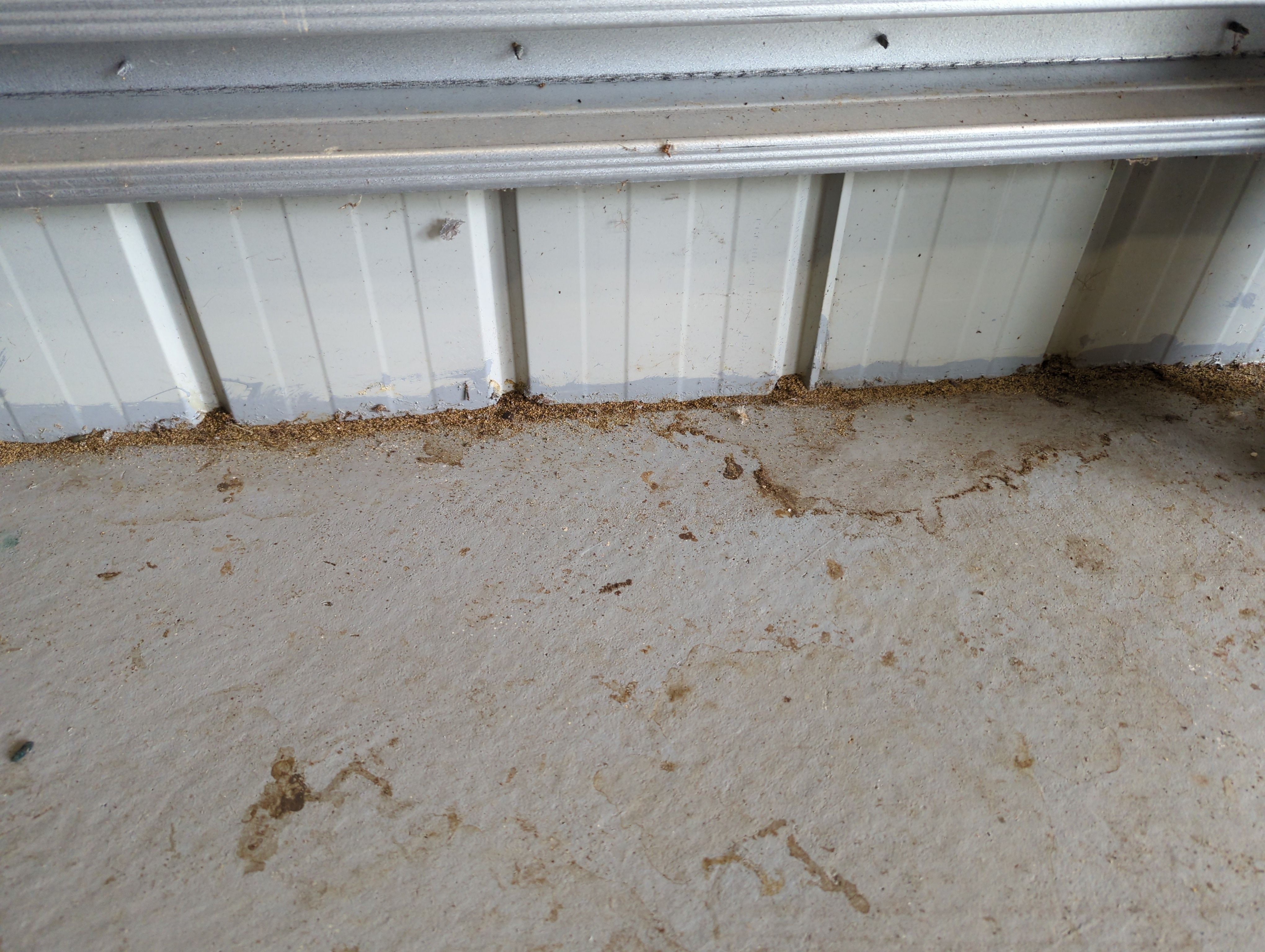 How to seal the bottom of shed walls? | Bunnings Workshop community