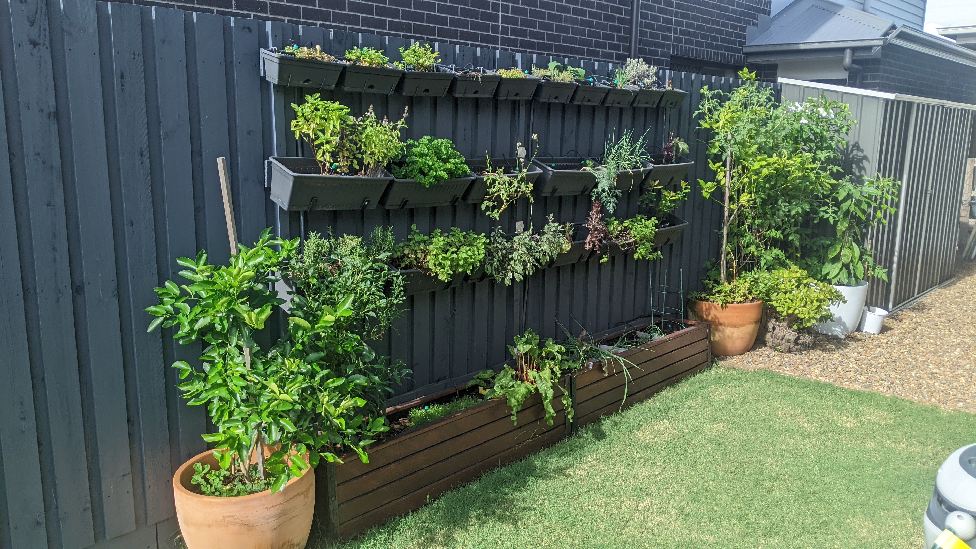 Merbau planter boxes and vertical vegie ... | Bunnings Workshop community