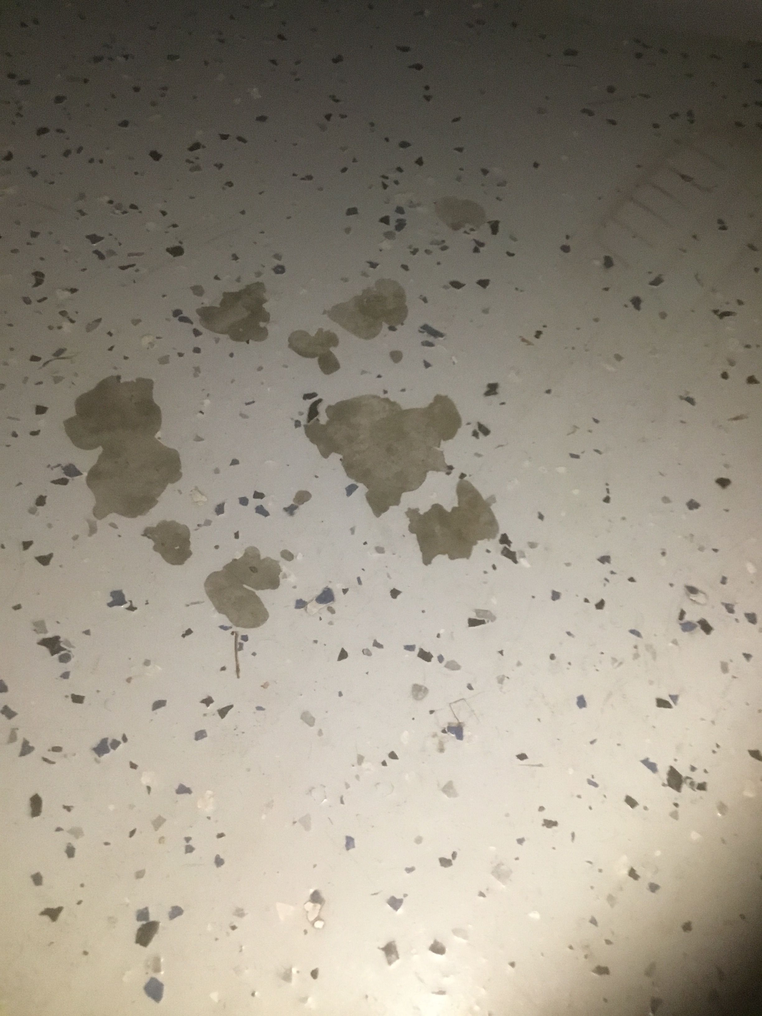 How to repair flaking epoxy paint? | Bunnings Workshop community