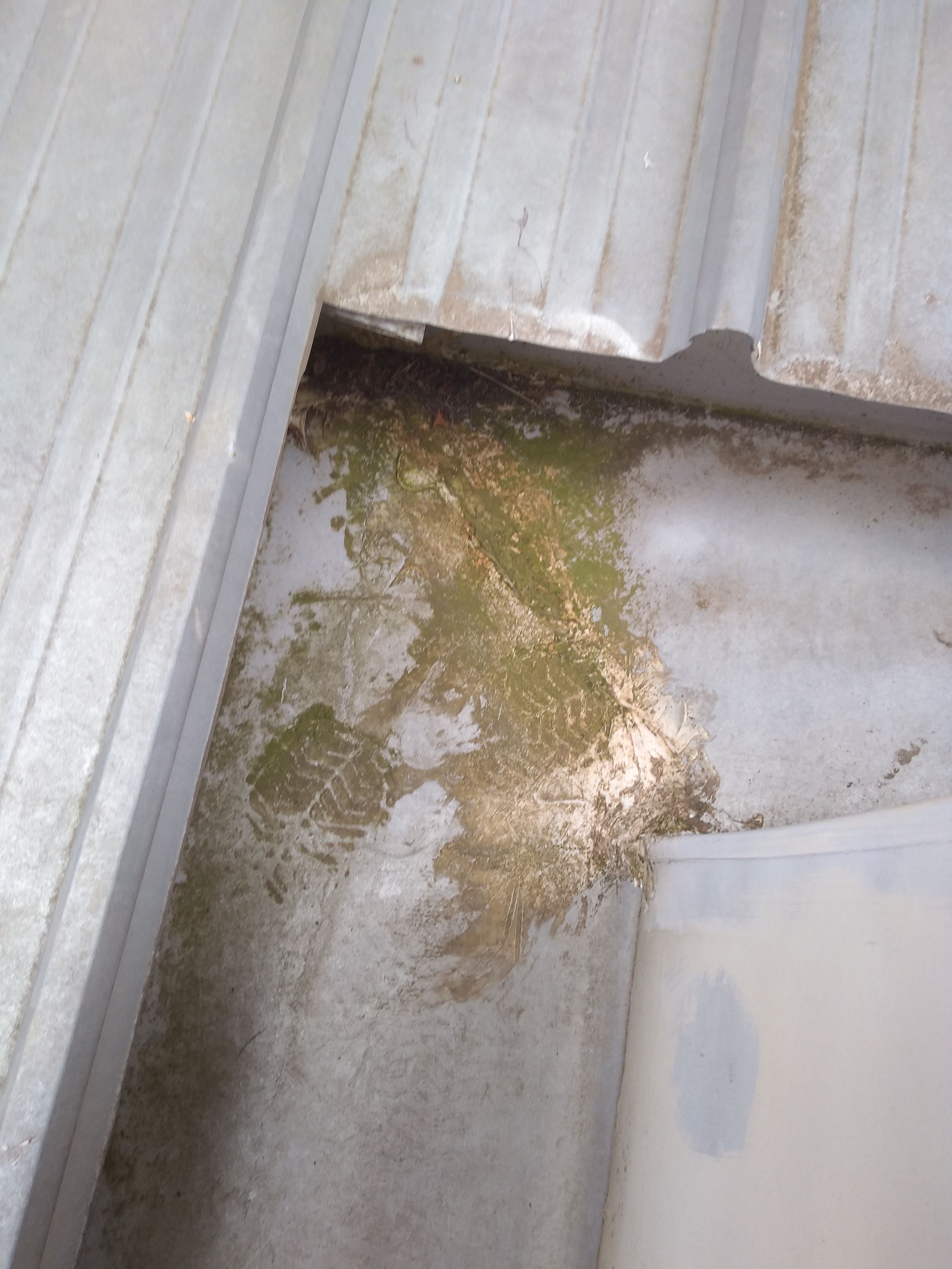 How to fix a water leak through ceiling ... | Bunnings Workshop community