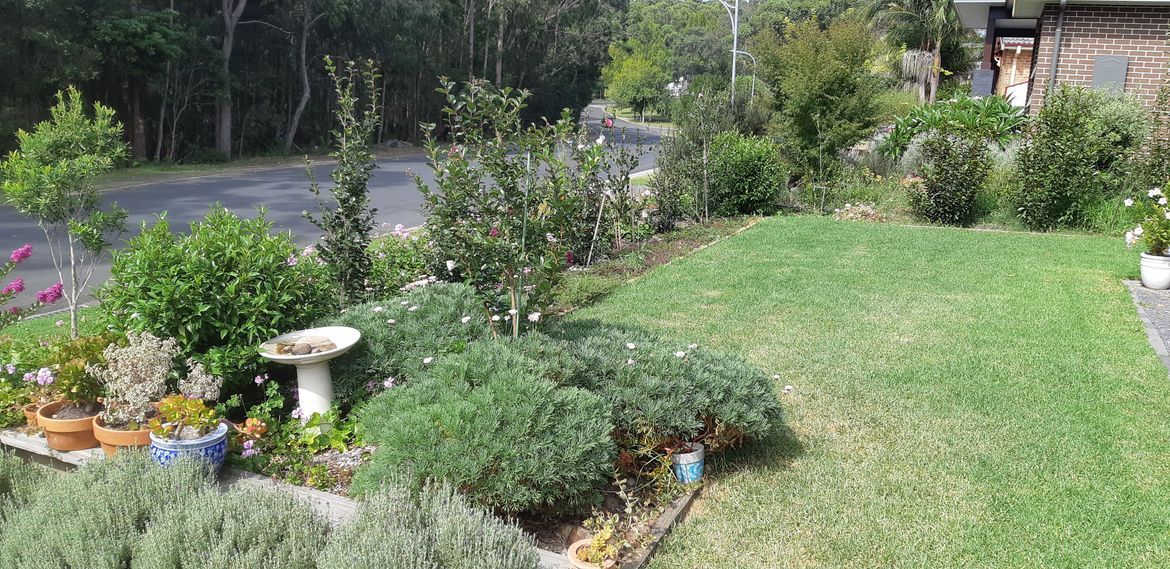 10 screening ideas for outdoor areas | Bunnings Workshop community