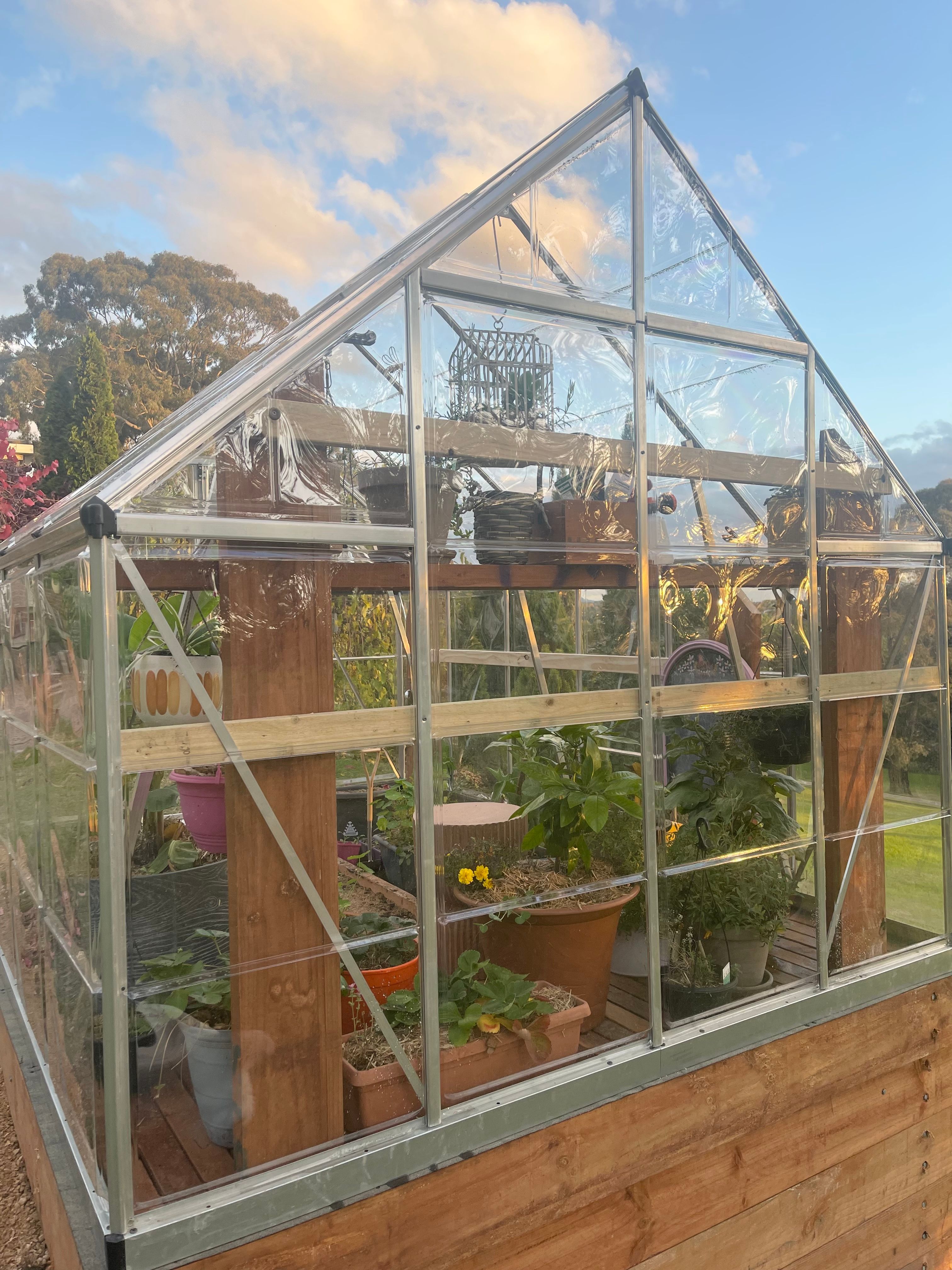 Lisa’s greenhouse build | Bunnings Workshop community