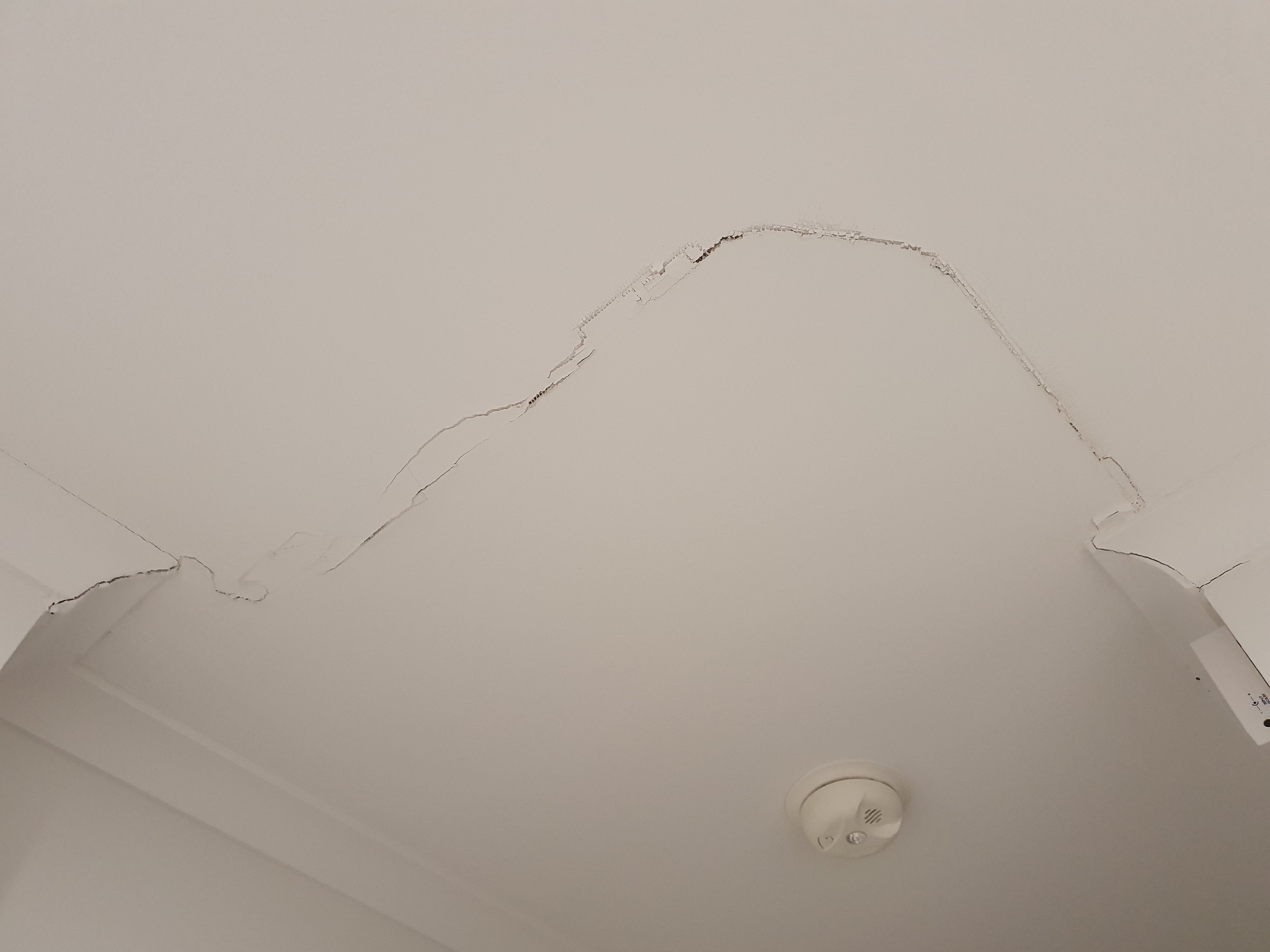 How to repair cracks in ceiling and corn... | Bunnings Workshop community