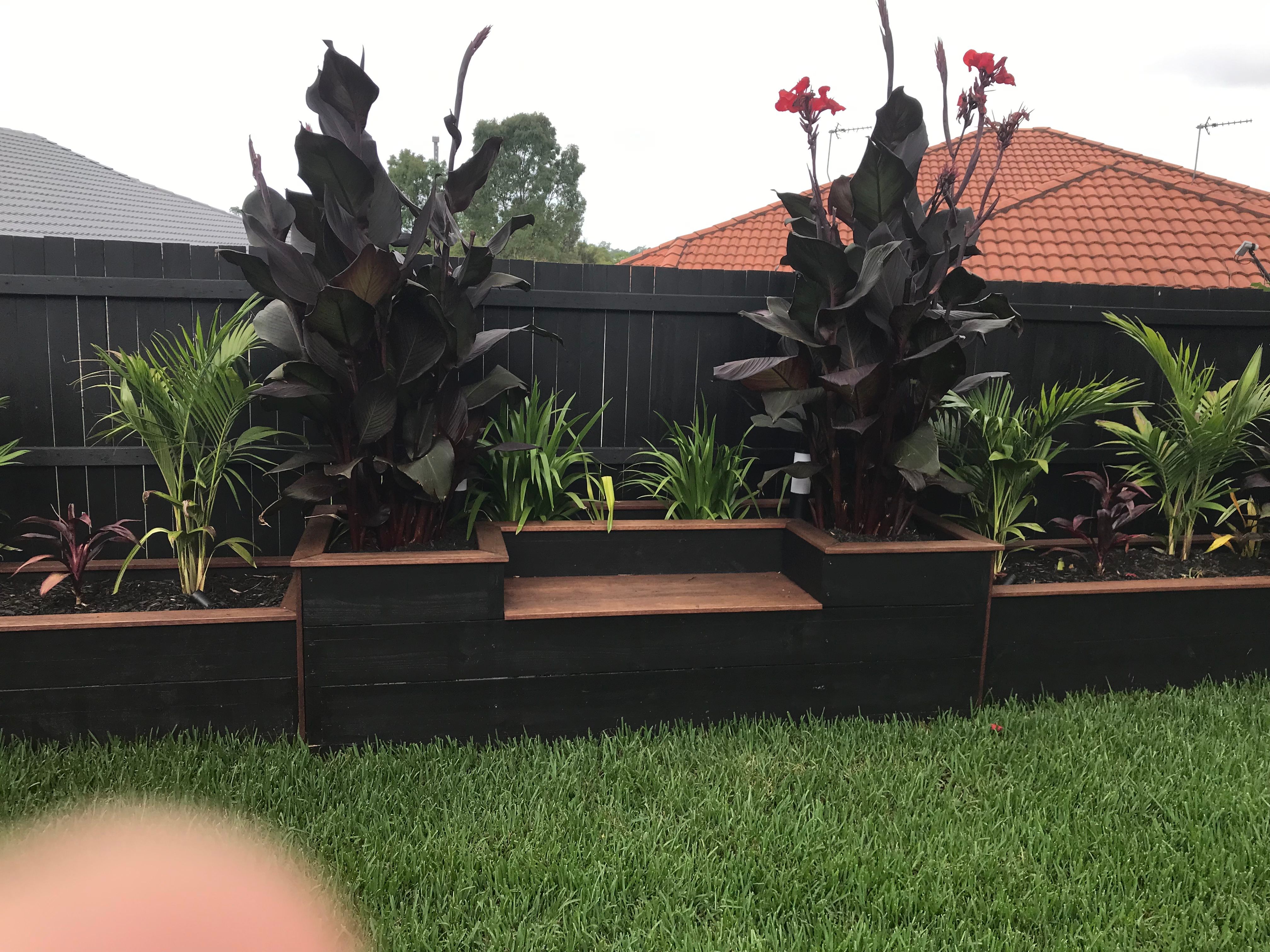 How I transformed a boring garden wall a... | Bunnings Workshop community