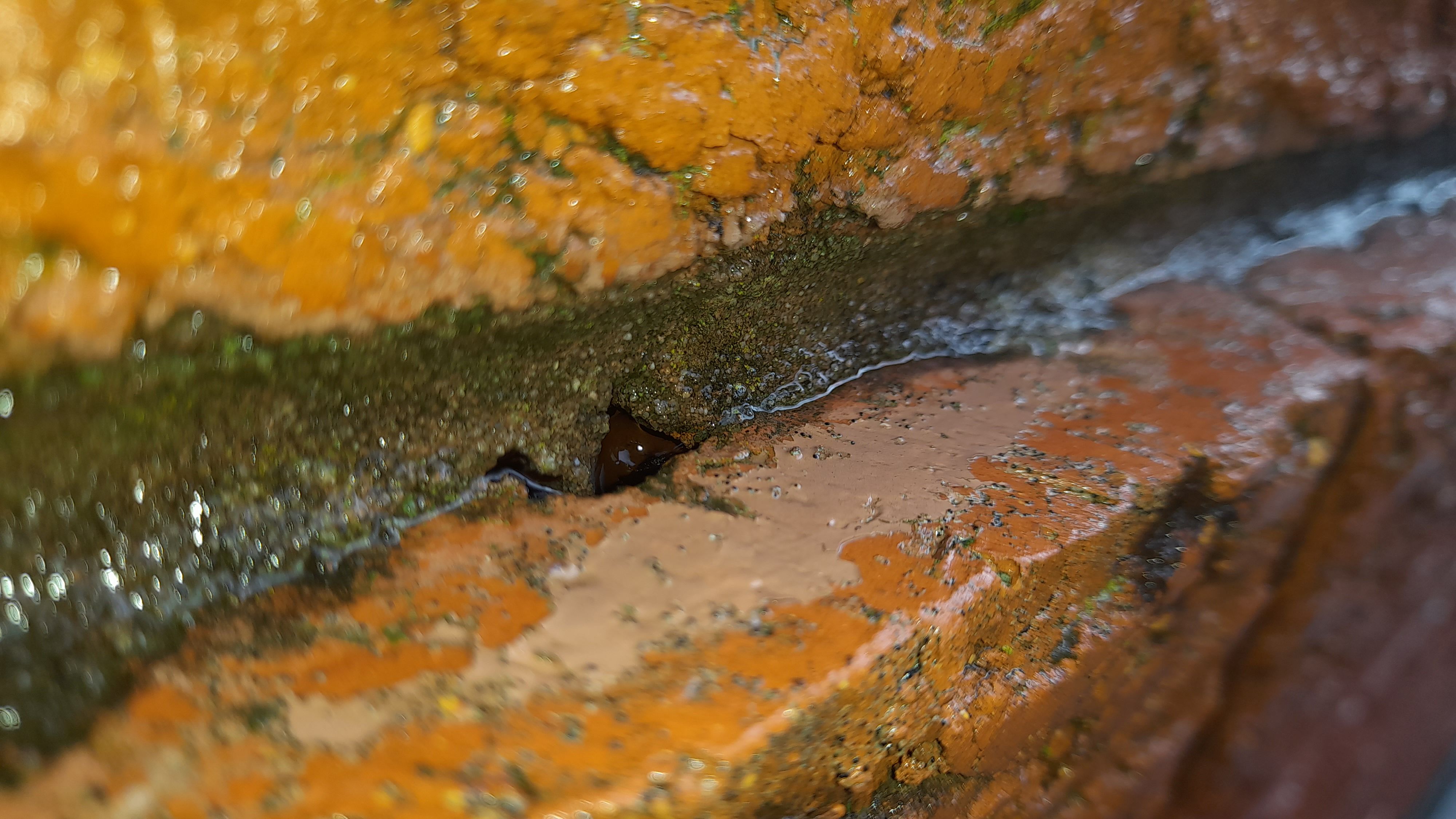 Is moisture in brick wall normal? | Bunnings Workshop community