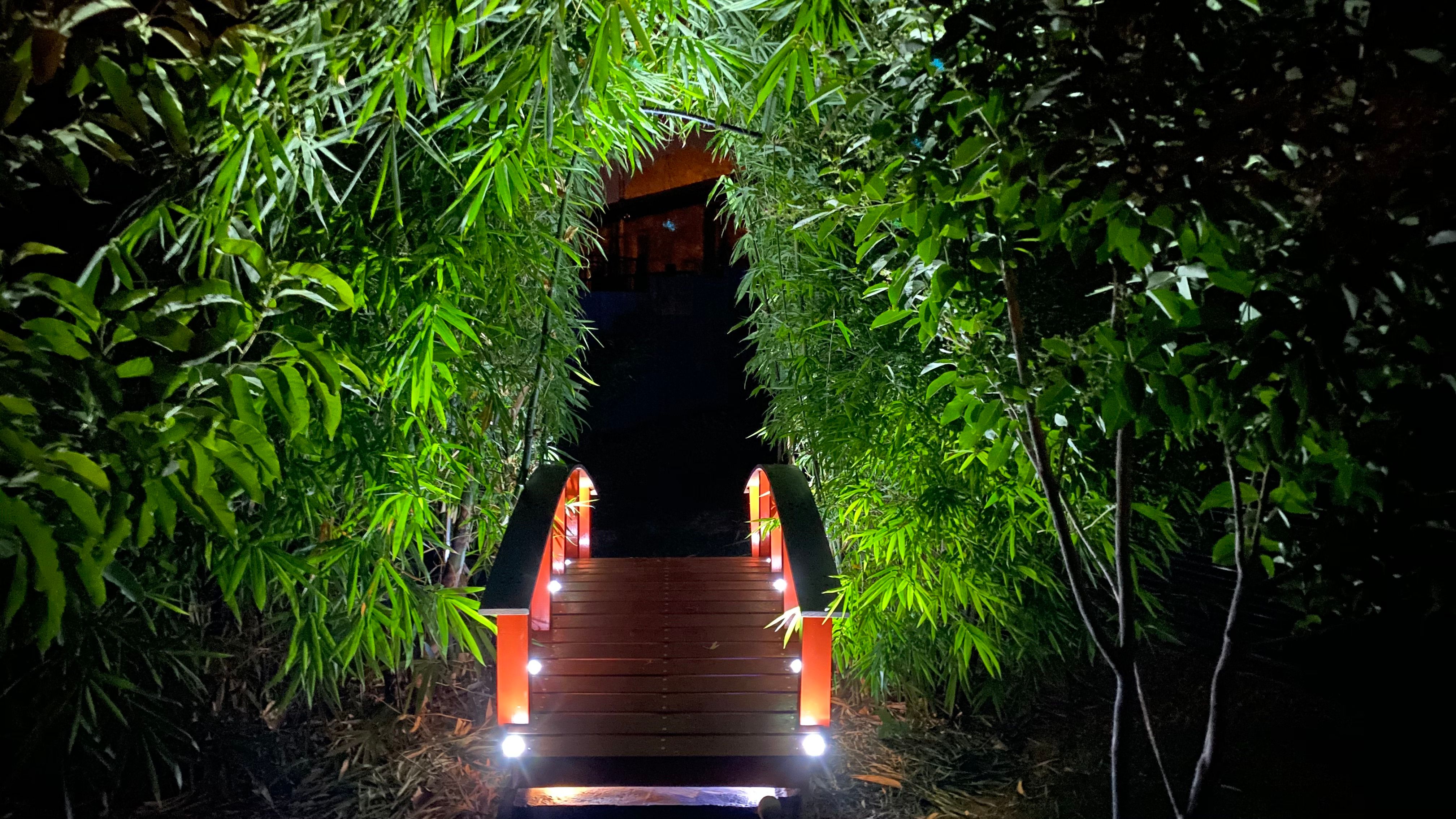 Japanese Bridge (soribashi) | Bunnings Workshop community