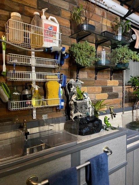 Outdoor Bonsai workbench with built-in s... | Bunnings Workshop community