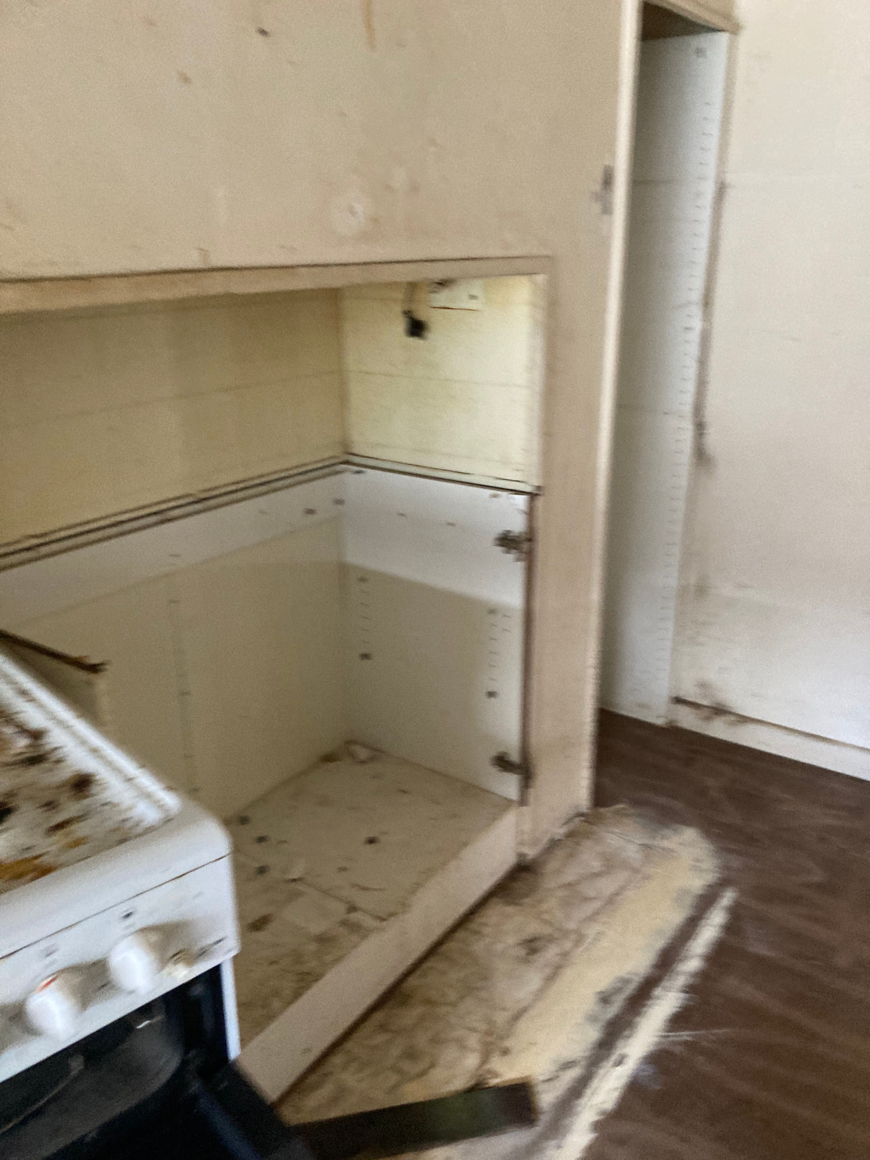 Kitchen makeover... From rip down to am... | Bunnings Workshop community