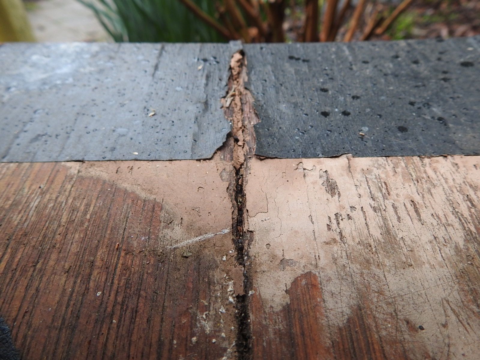 Solved: How to renovate a damaged weathered timb... | Bunnings Workshop ...
