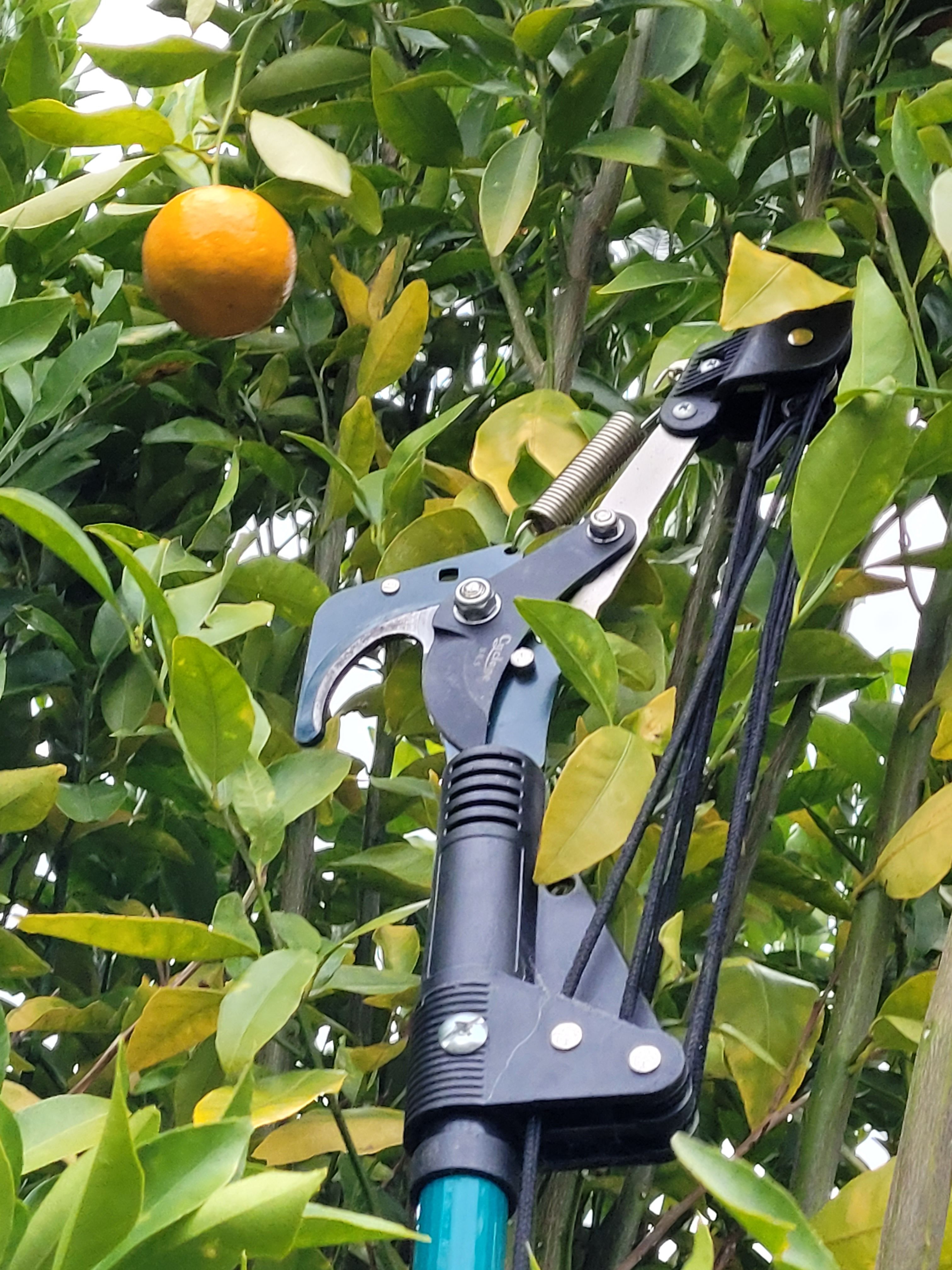 What's your favourite gardening tool? | Bunnings Workshop community