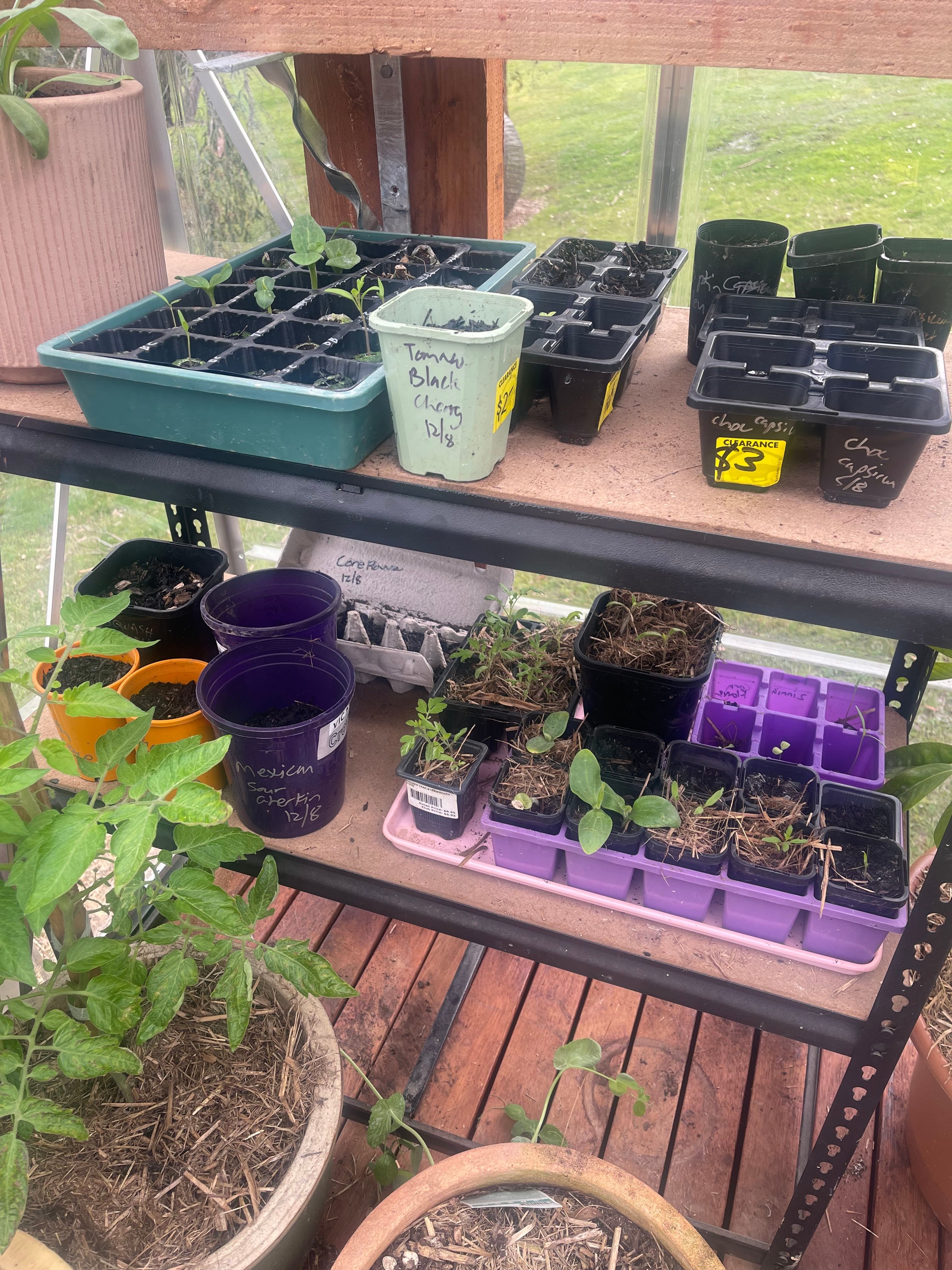 Getting ready for spring | Bunnings Workshop community