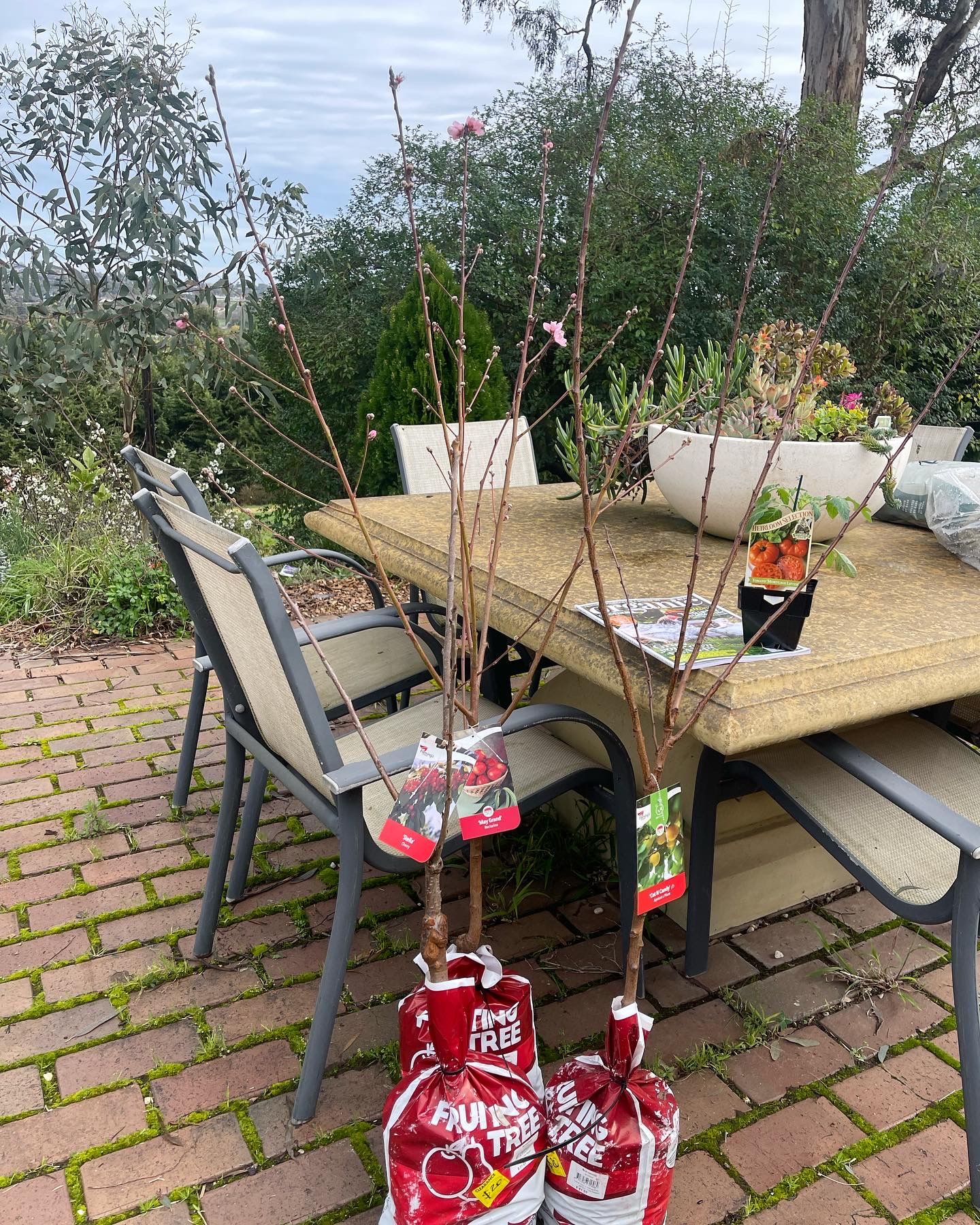 Getting ready for spring | Bunnings Workshop community