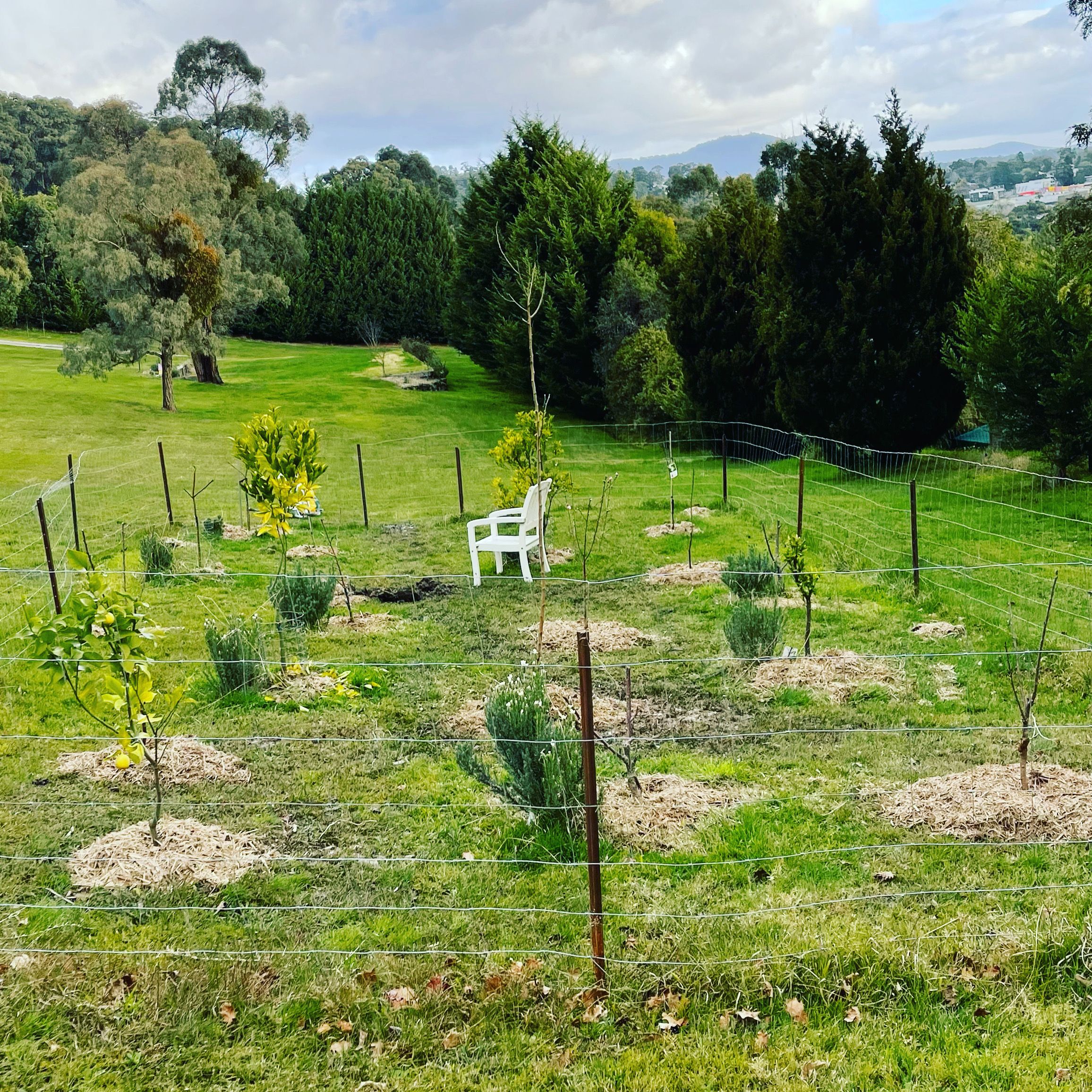 Getting ready for spring | Bunnings Workshop community
