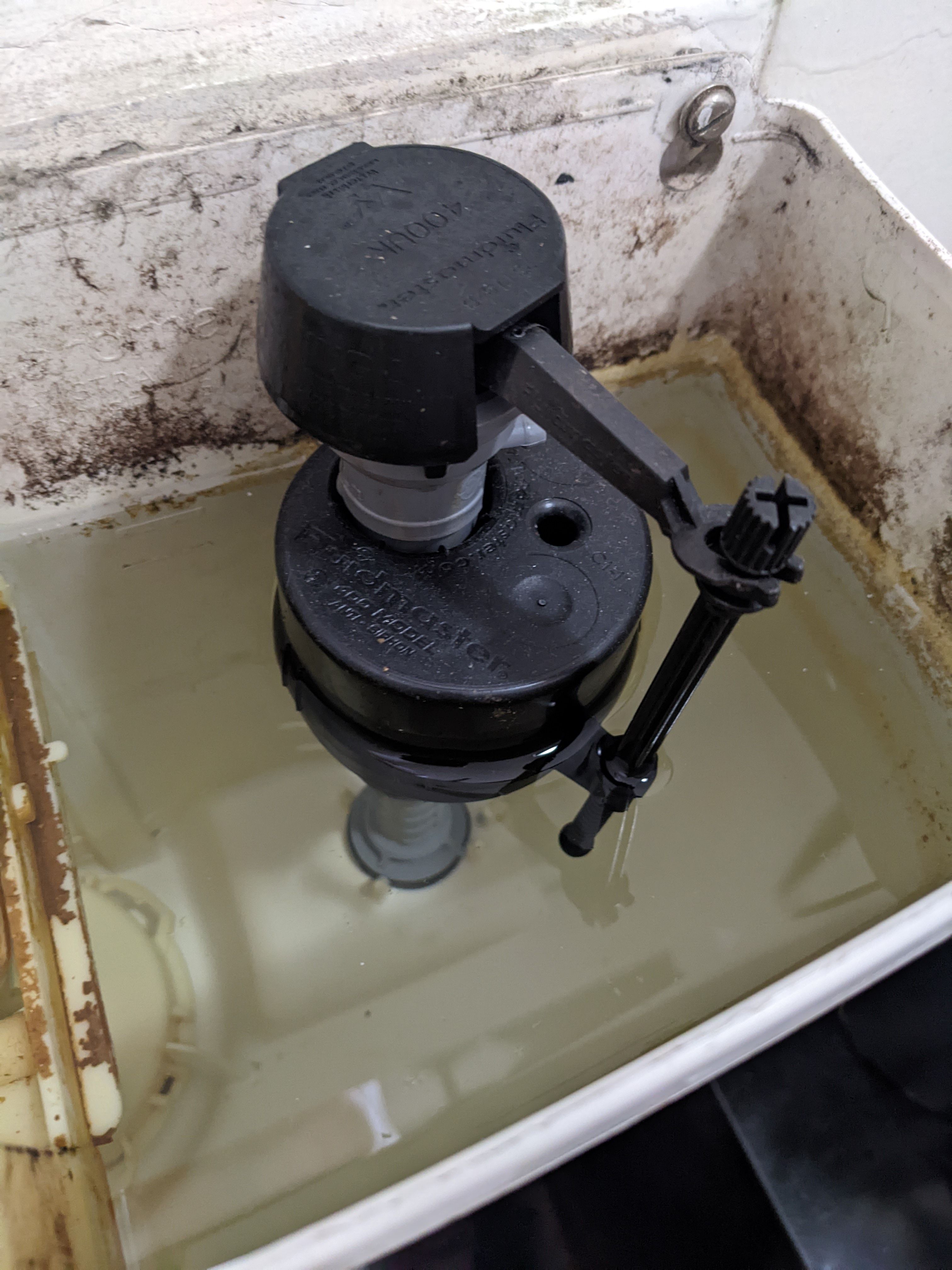 Solved: Special dye to detect toilet leak? | Bunnings Workshop community