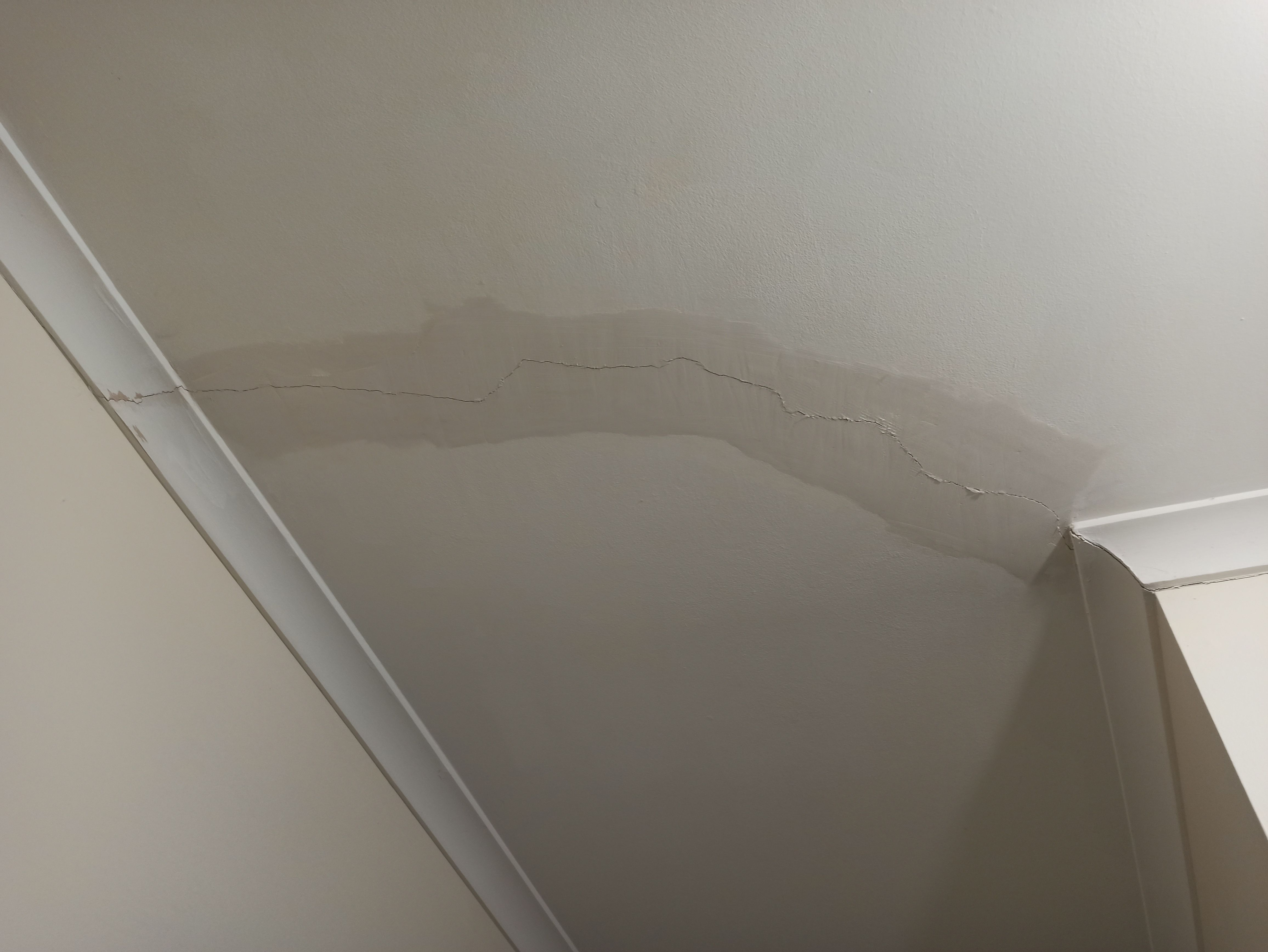 How to repair this cracked ceiling? | Bunnings Workshop community