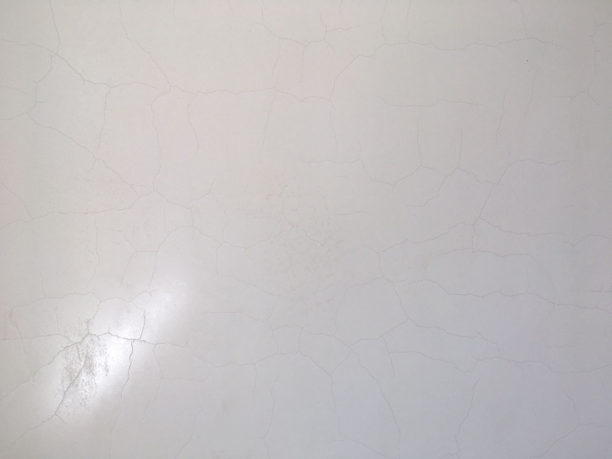 New build house white set plaster wall c... | Bunnings Workshop community