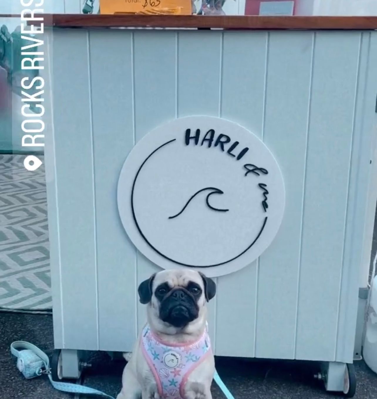 How to make a counter top bench for mark... | Bunnings Workshop community