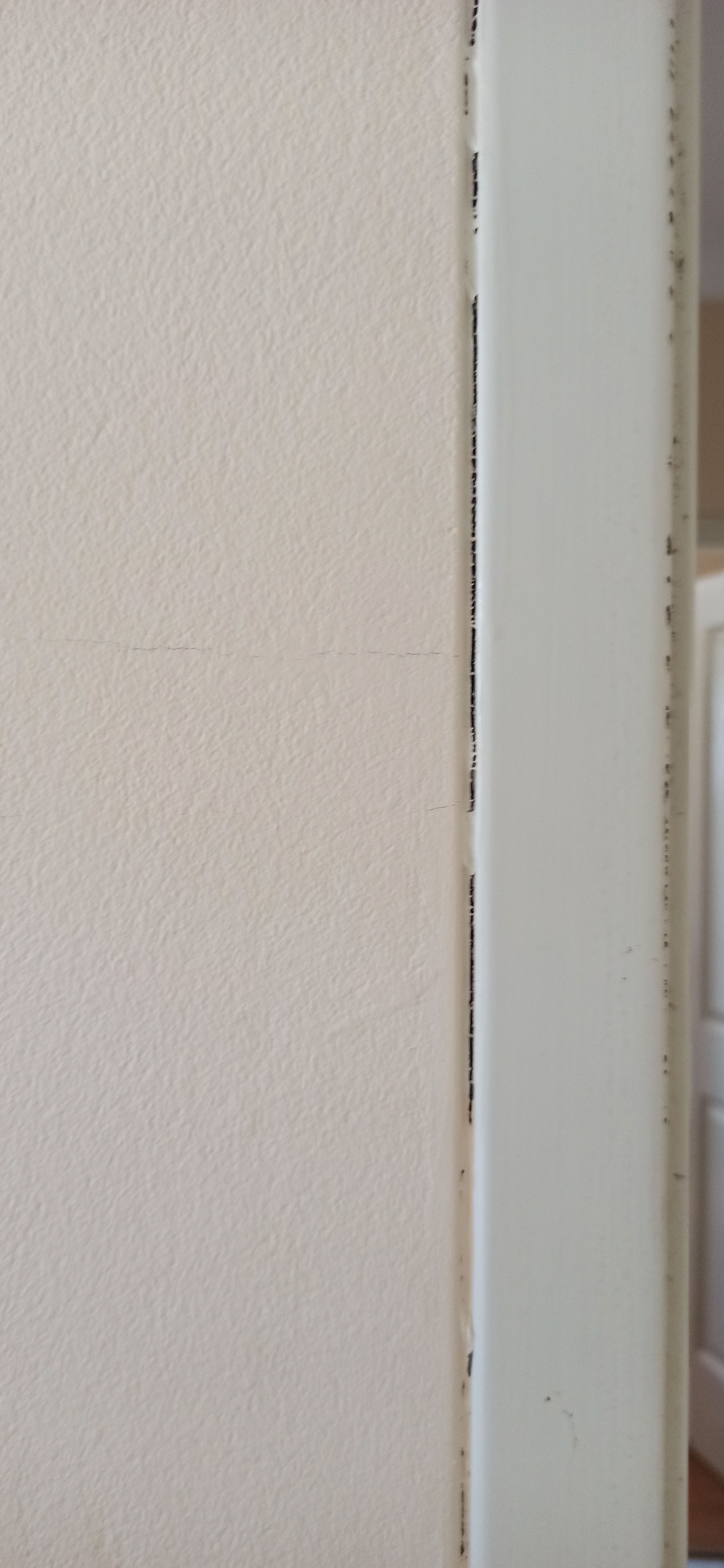How to fill gap between doorframe and wa... | Bunnings Workshop community