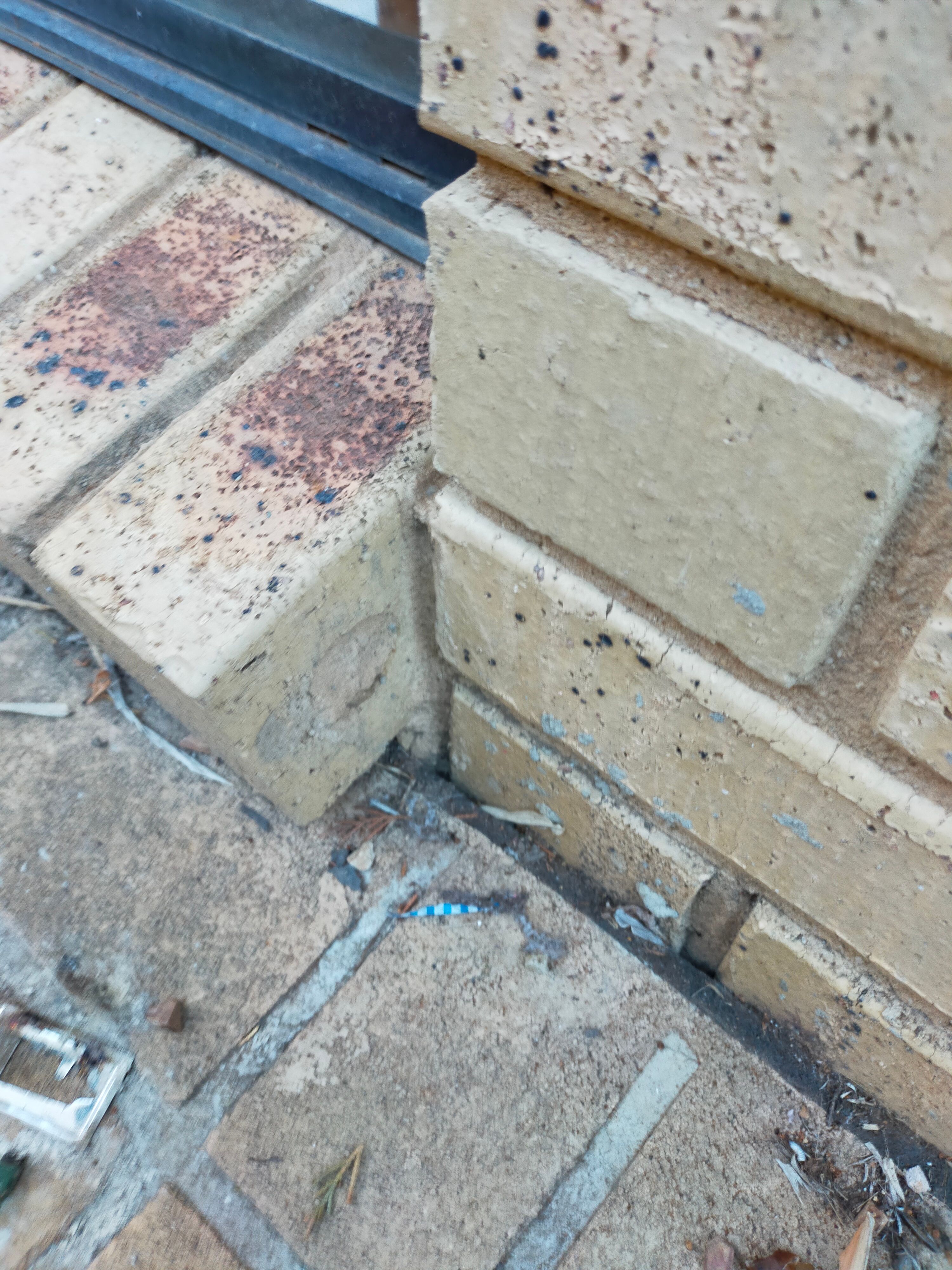 How to close outdoor brick gap? | Bunnings Workshop community