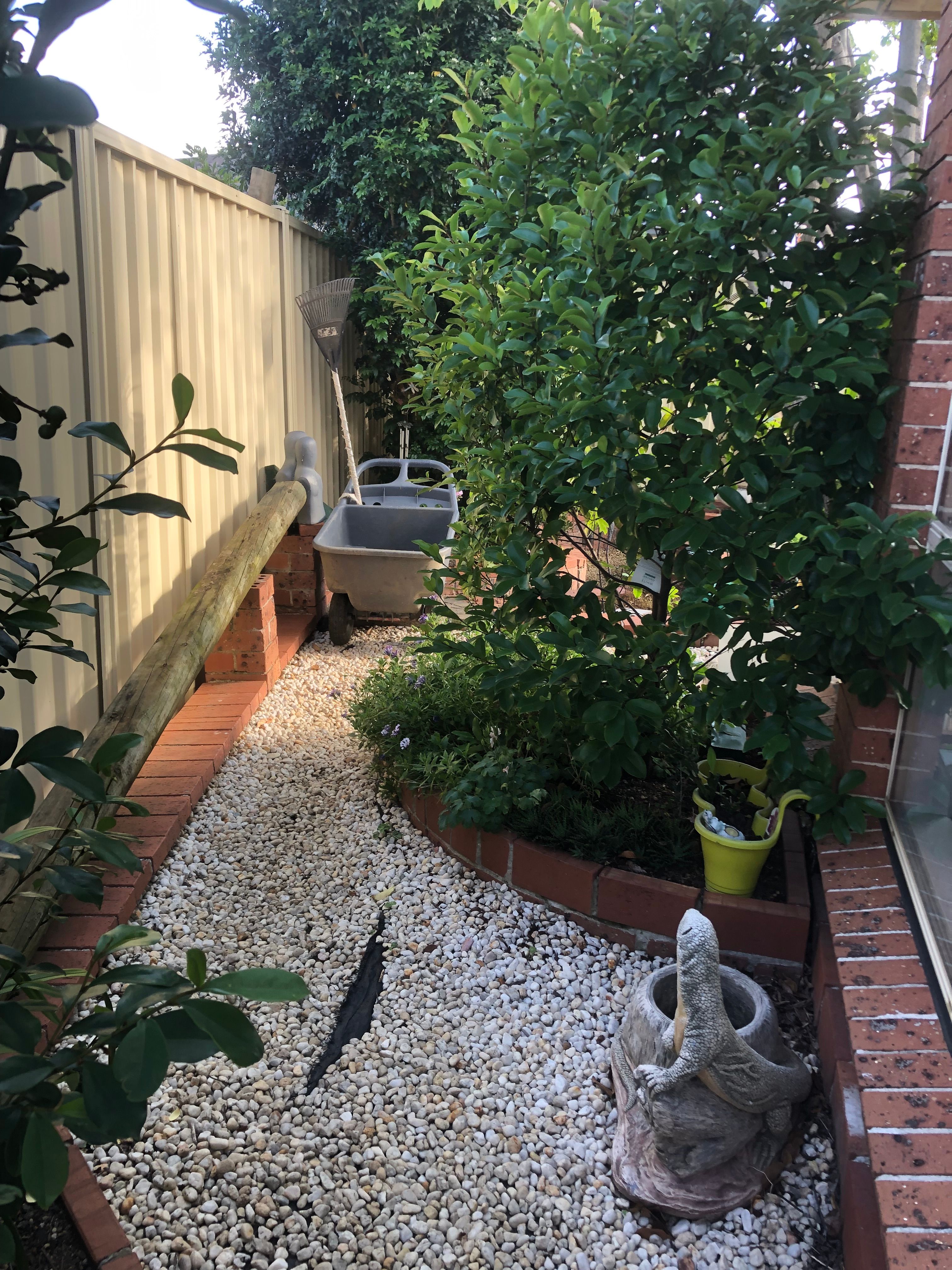 Suggestions wanted for backyard and side... | Bunnings Workshop community