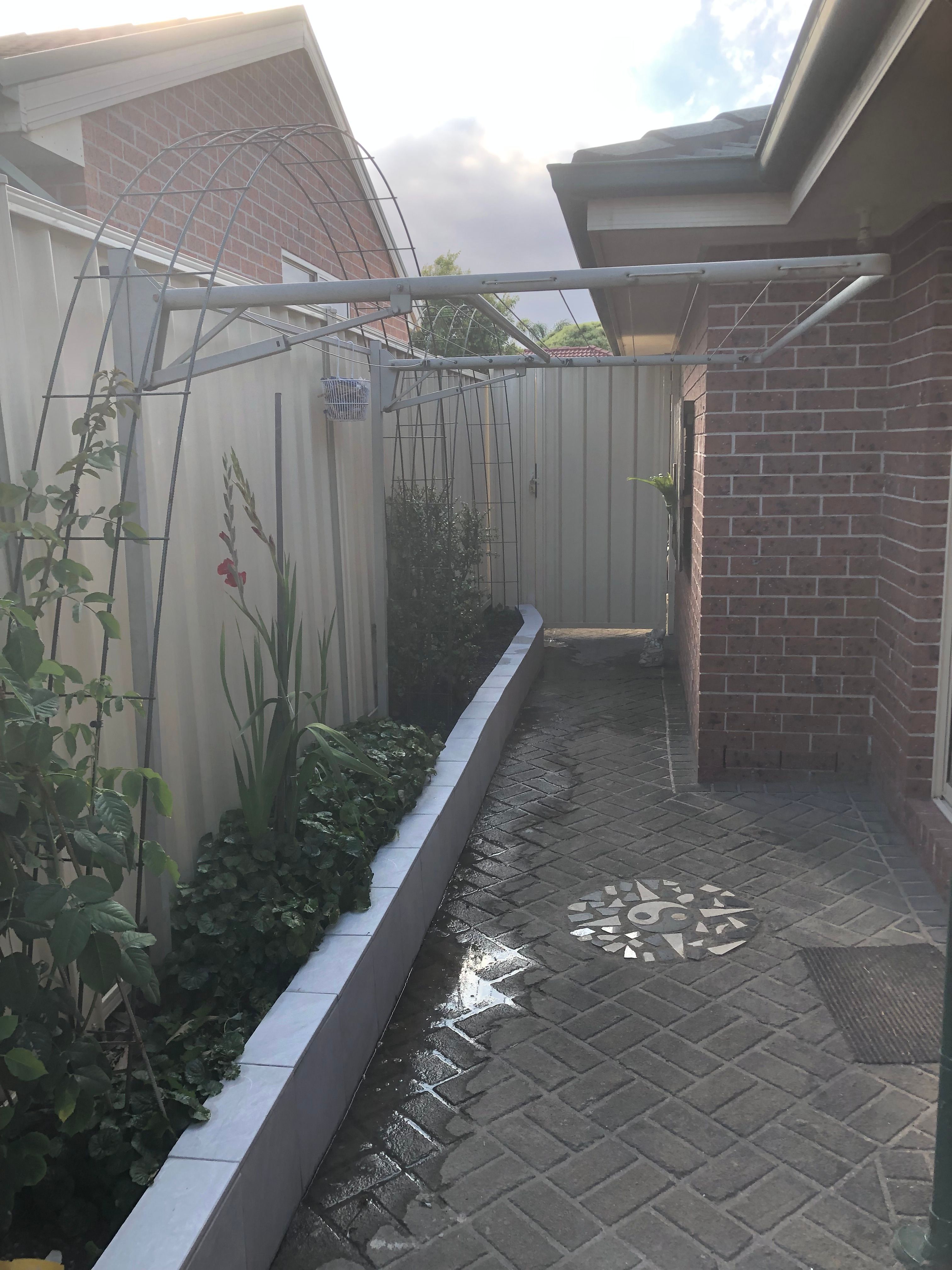 Suggestions wanted for backyard and side... | Bunnings Workshop community